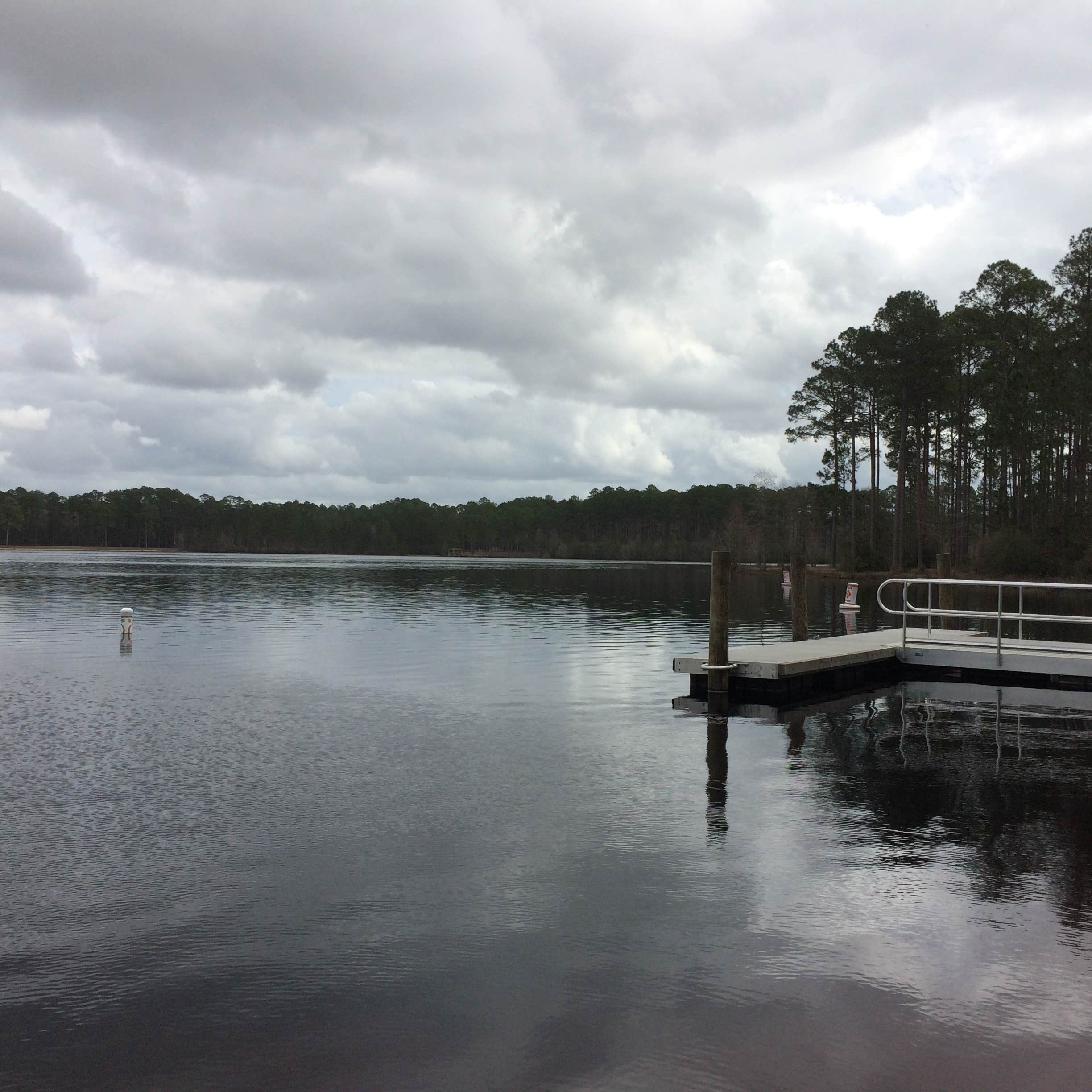 Laura S. Walker State Park Camping | The Dyrt