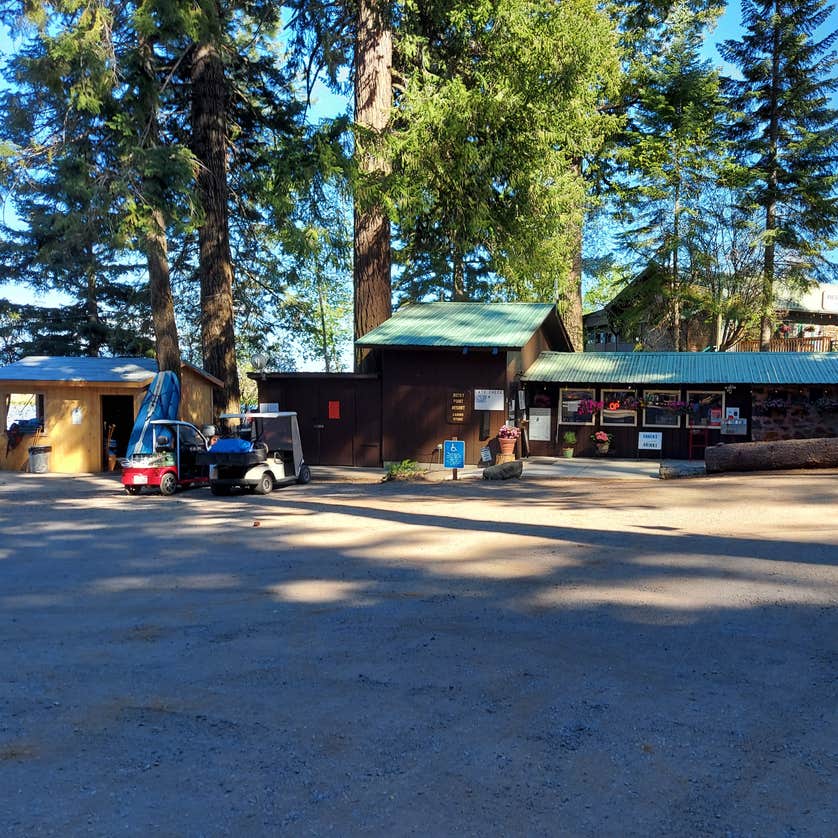 Rocky Point Resort Camping | The Dyrt