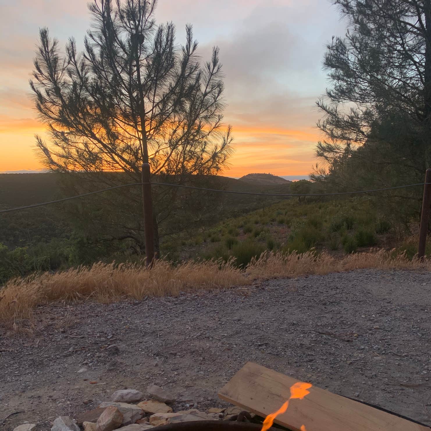 Williams Hill Recreation Area Camping | The Dyrt