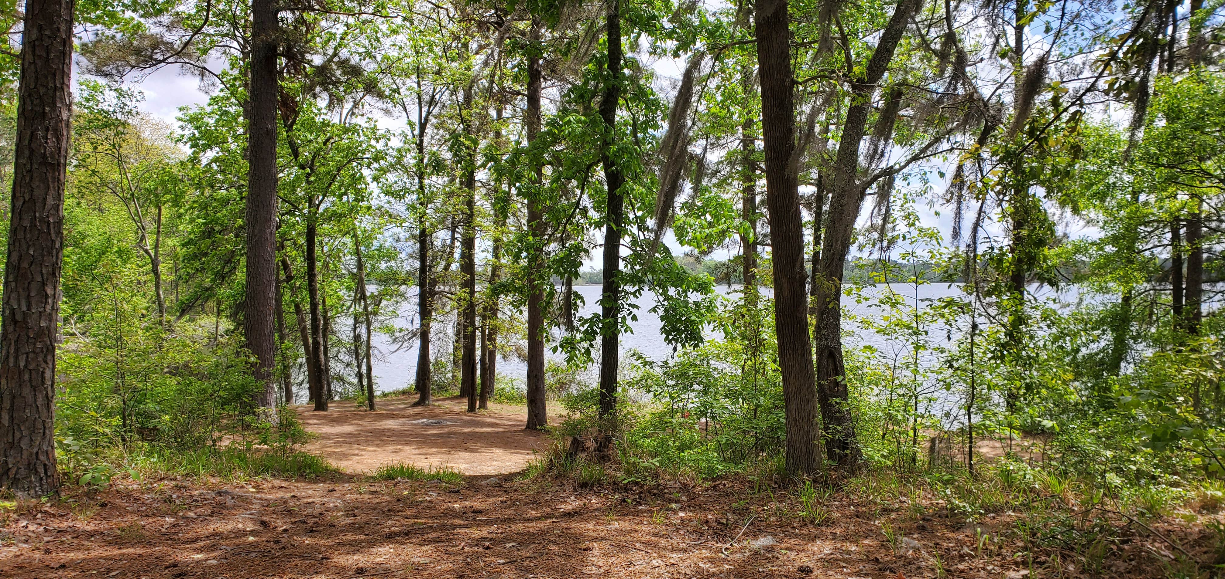 Indian Creek Rec Area | The Dyrt