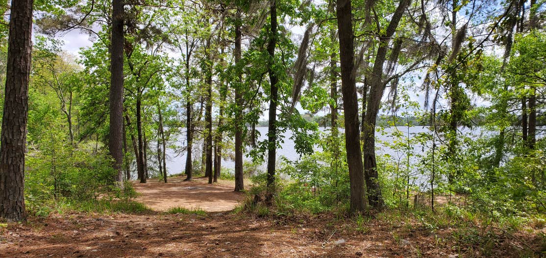 Indian Creek Rec Area | The Dyrt