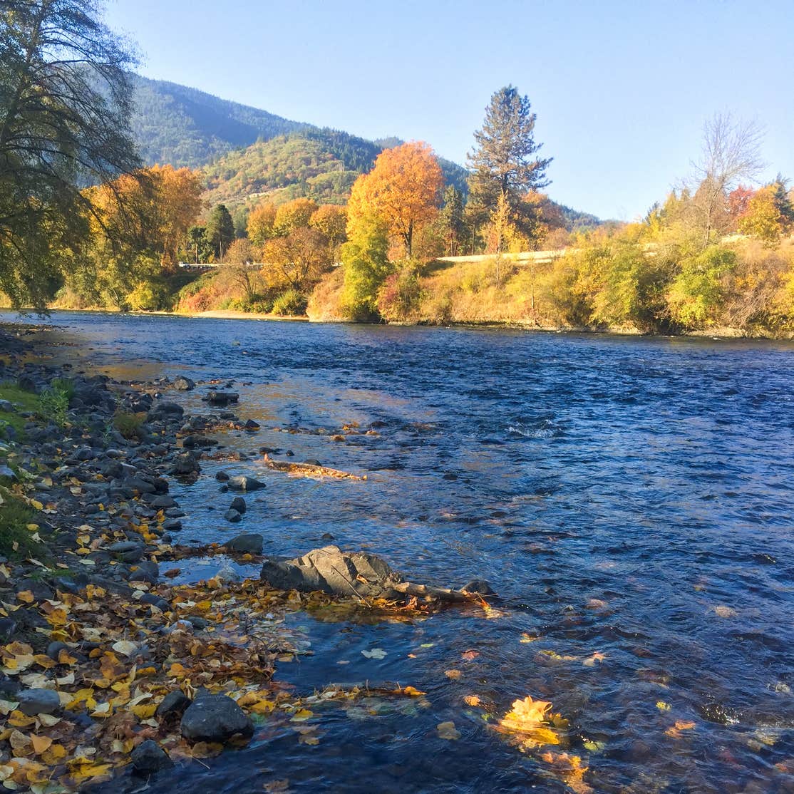 Bridgeview RV Park | Rogue River, Oregon