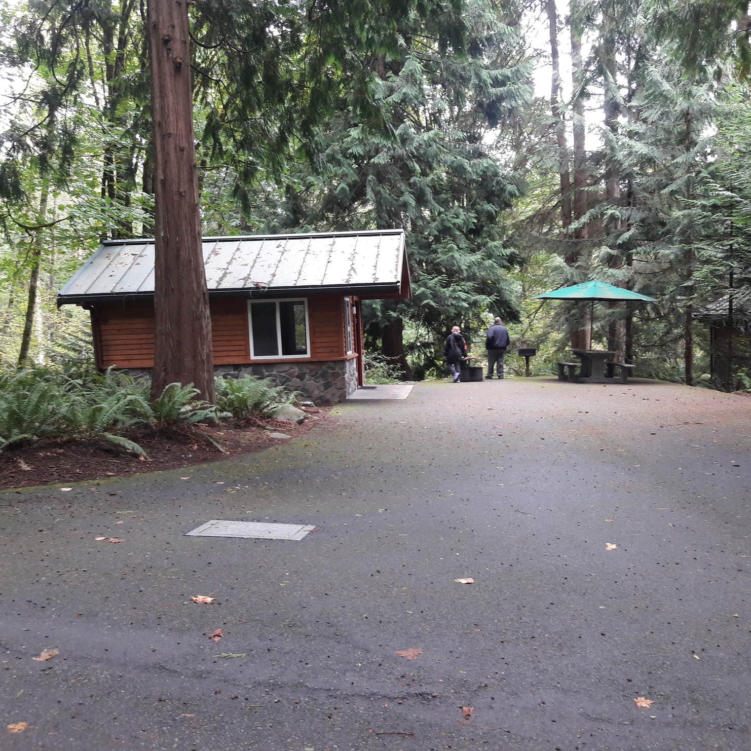 Flowing Lake County Park Camping | The Dyrt