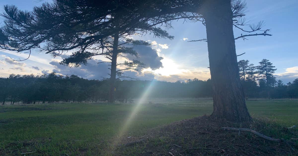 West Nemo - Dispersed Camping | Nemo, SD