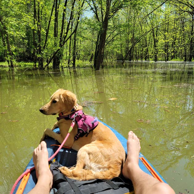 Cave Creek - Rough River Lake Camping | Falls of Rough, Kentucky