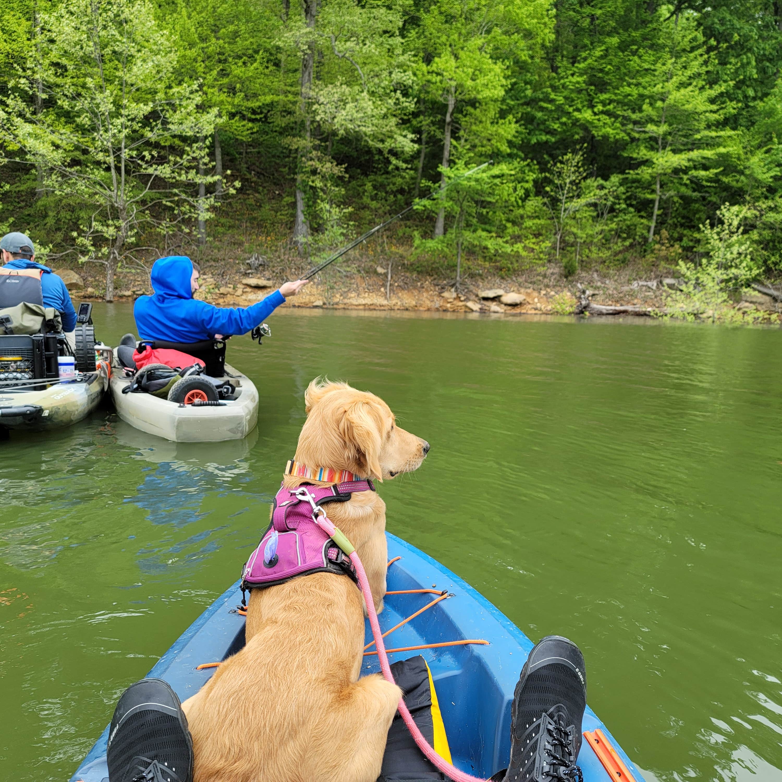 Cave Creek - Rough River Lake Camping | Falls of Rough, Kentucky
