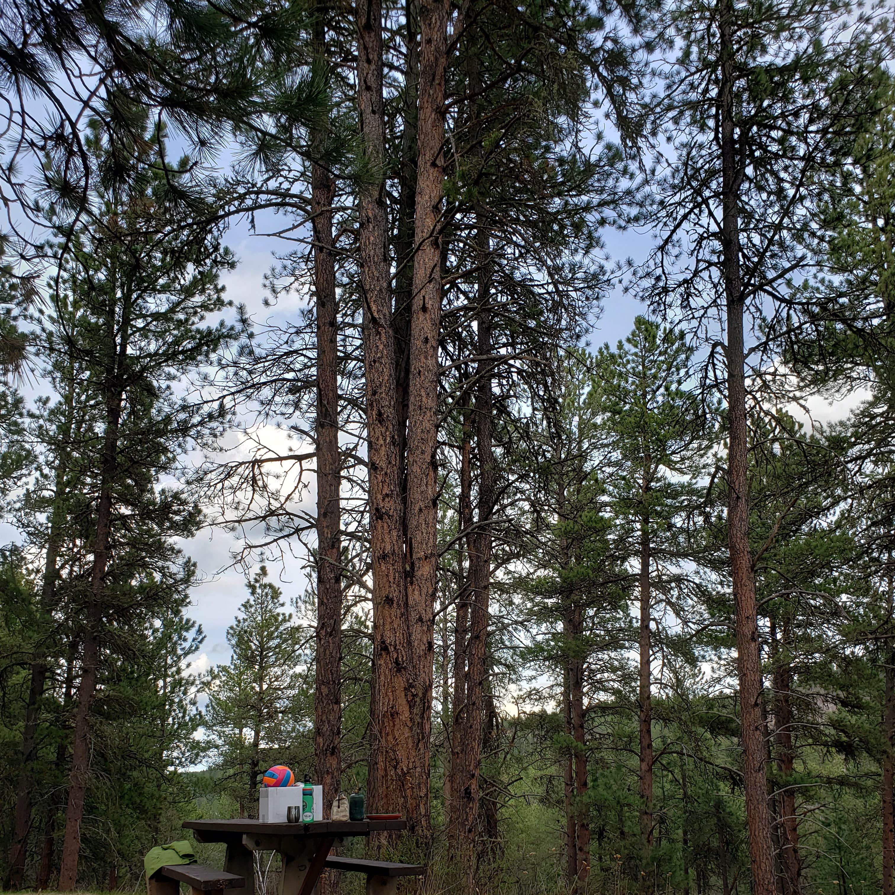 Black Hills National Forest Cook Lake Campground | Sundance, Wyoming