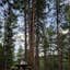 Black Hills National Forest Cook Lake Campground | Sundance, Wyoming