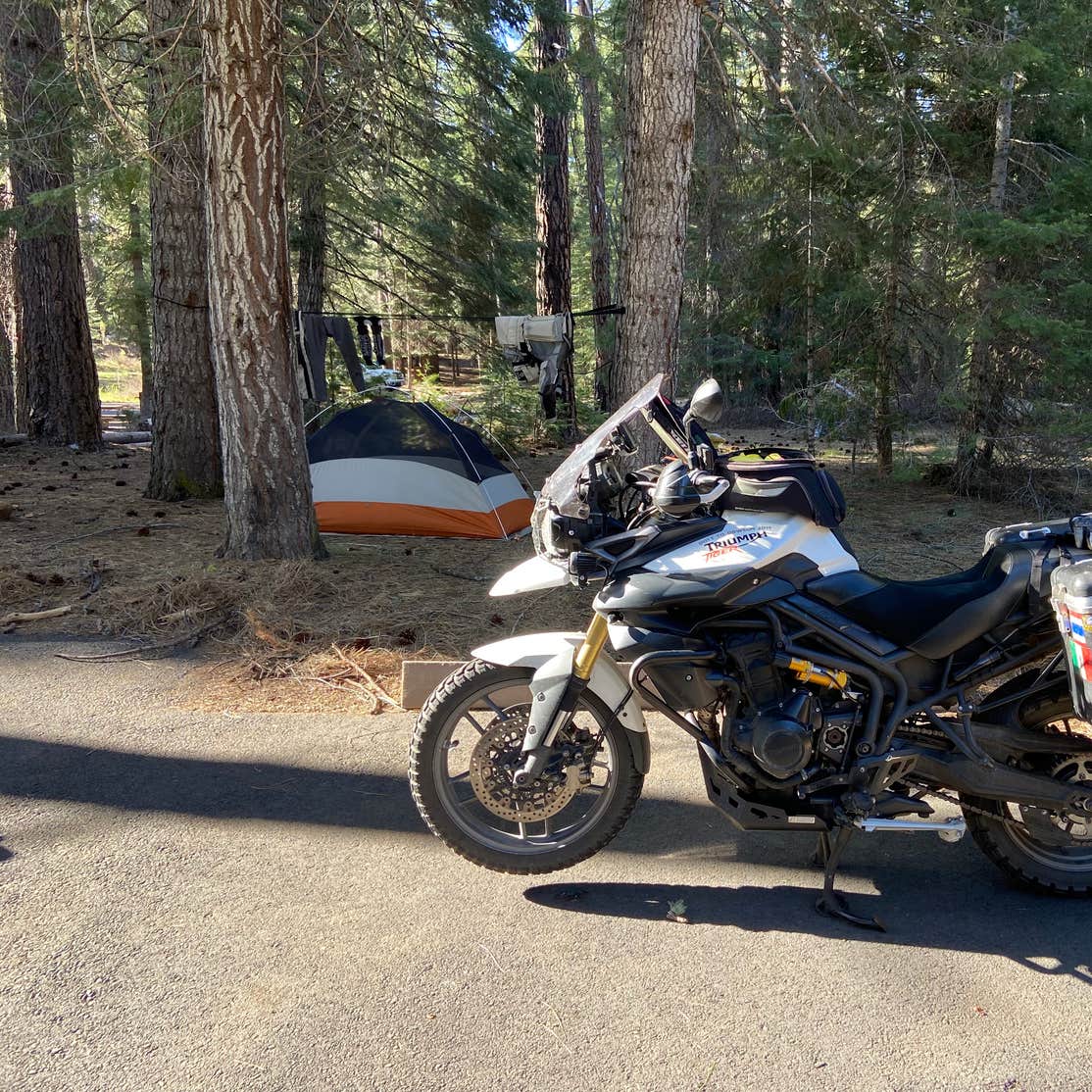 Fowlers Campground | McCloud, California