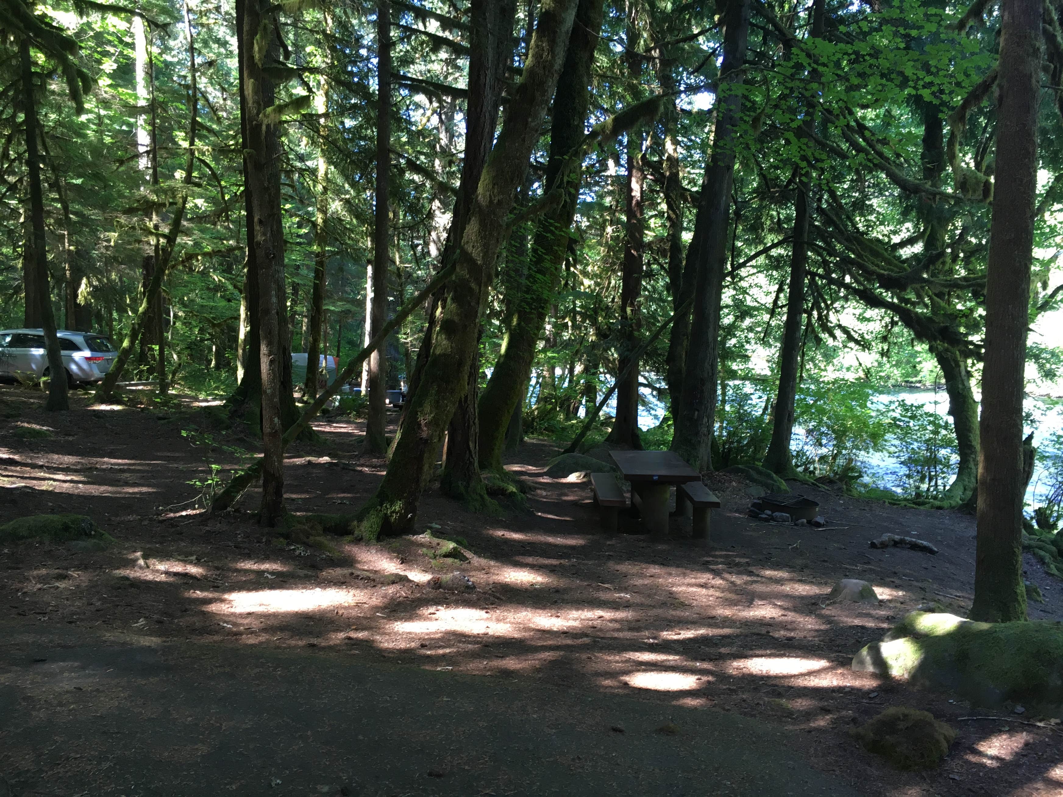 McKenzie River Trailhead at Paradise Campground | The Dyrt