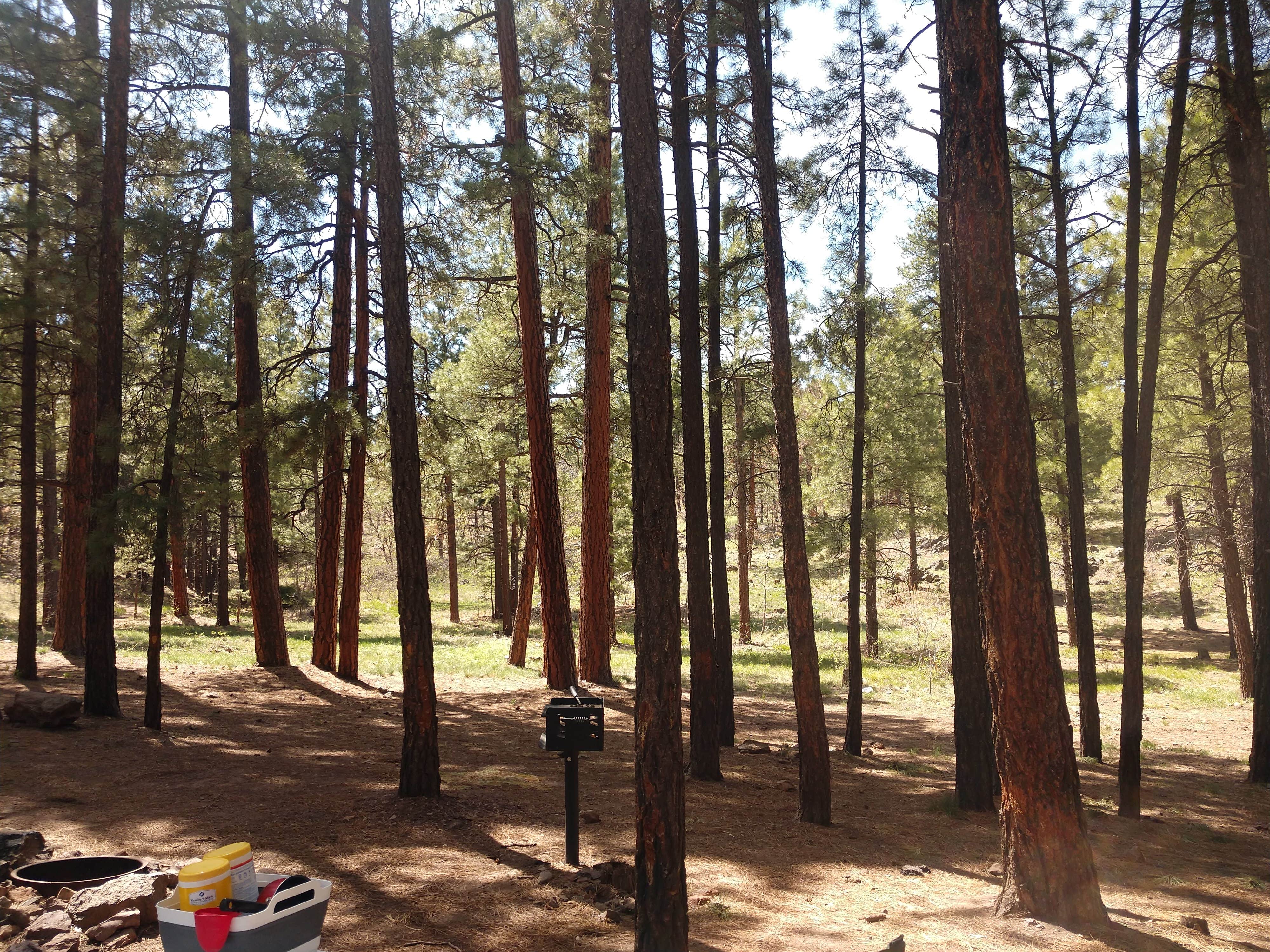 Fort Tuthill Luke AFB Recreation Area | The Dyrt