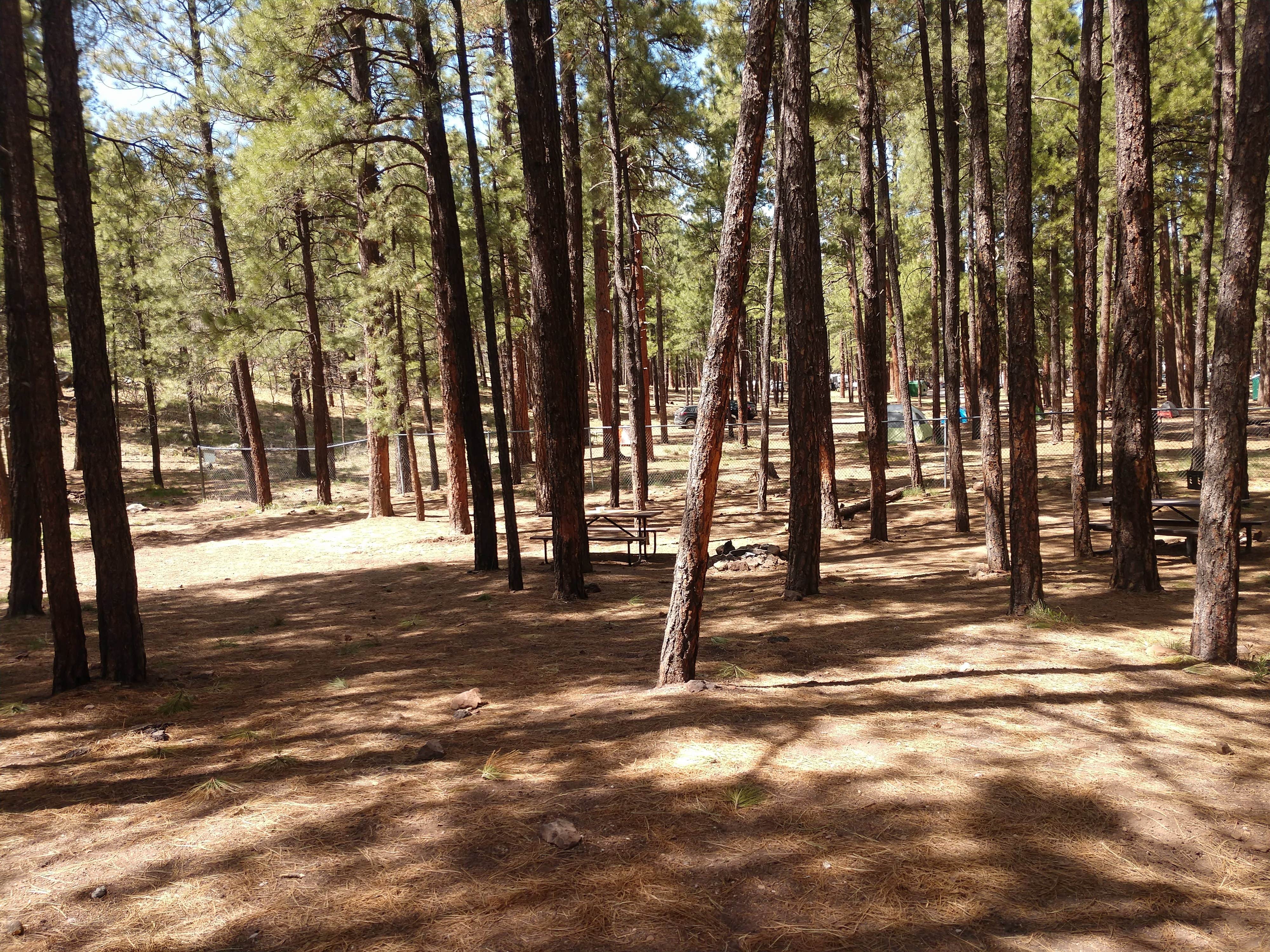 Fort Tuthill Luke AFB Recreation Area | The Dyrt