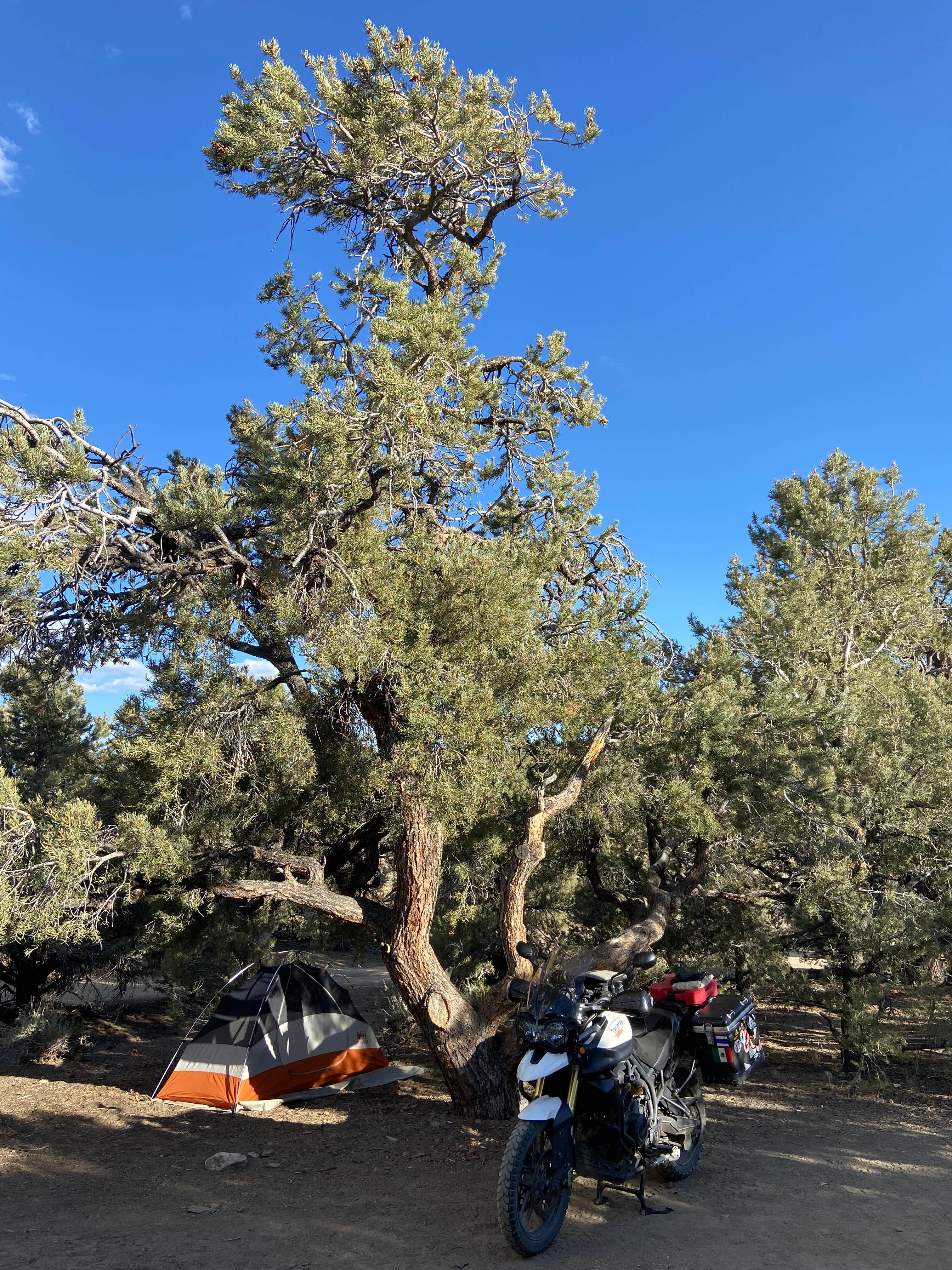 Grandview Campground | The Dyrt