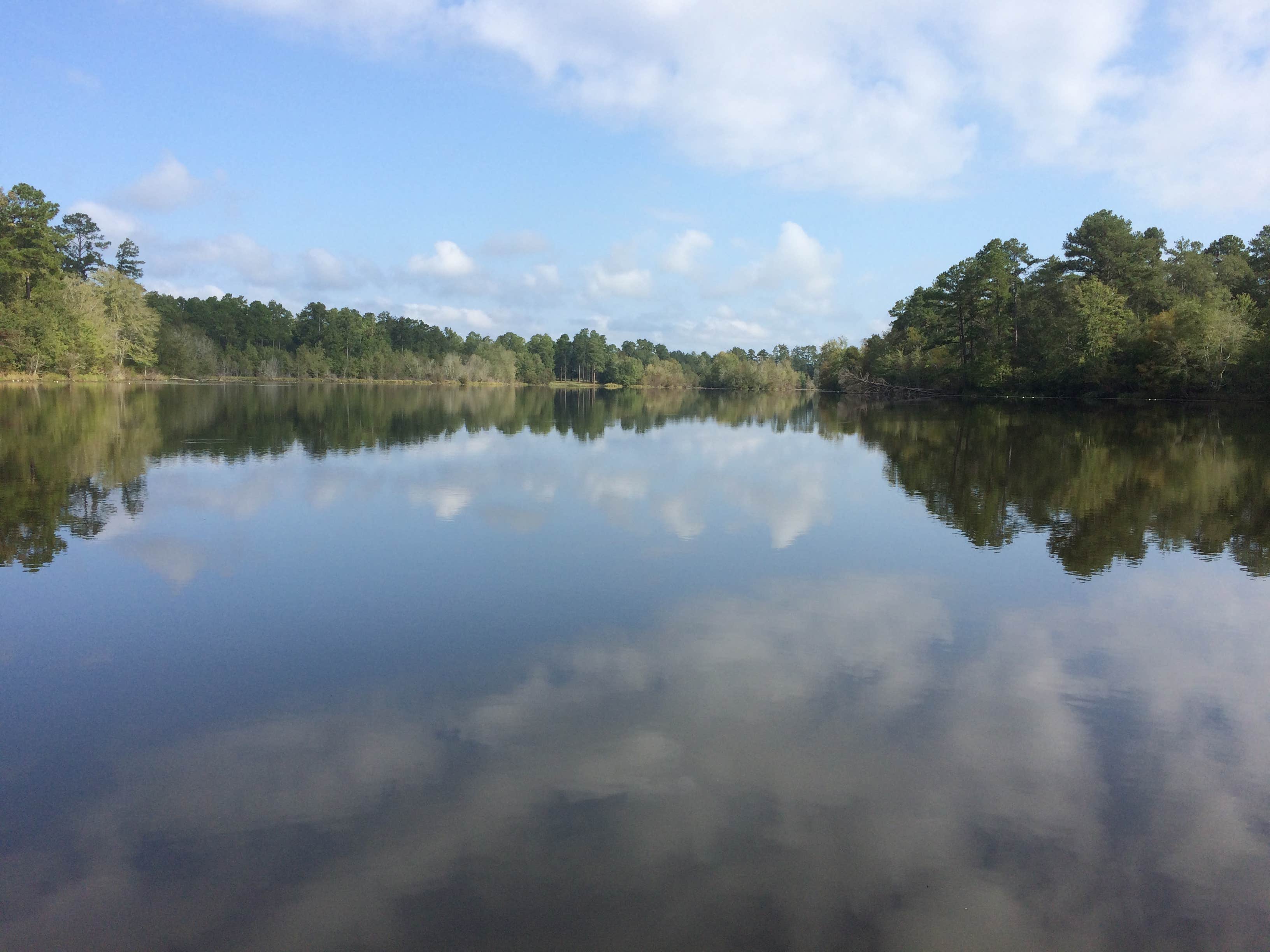 Jack Hill State Park Camping | Reidsville, Georgia