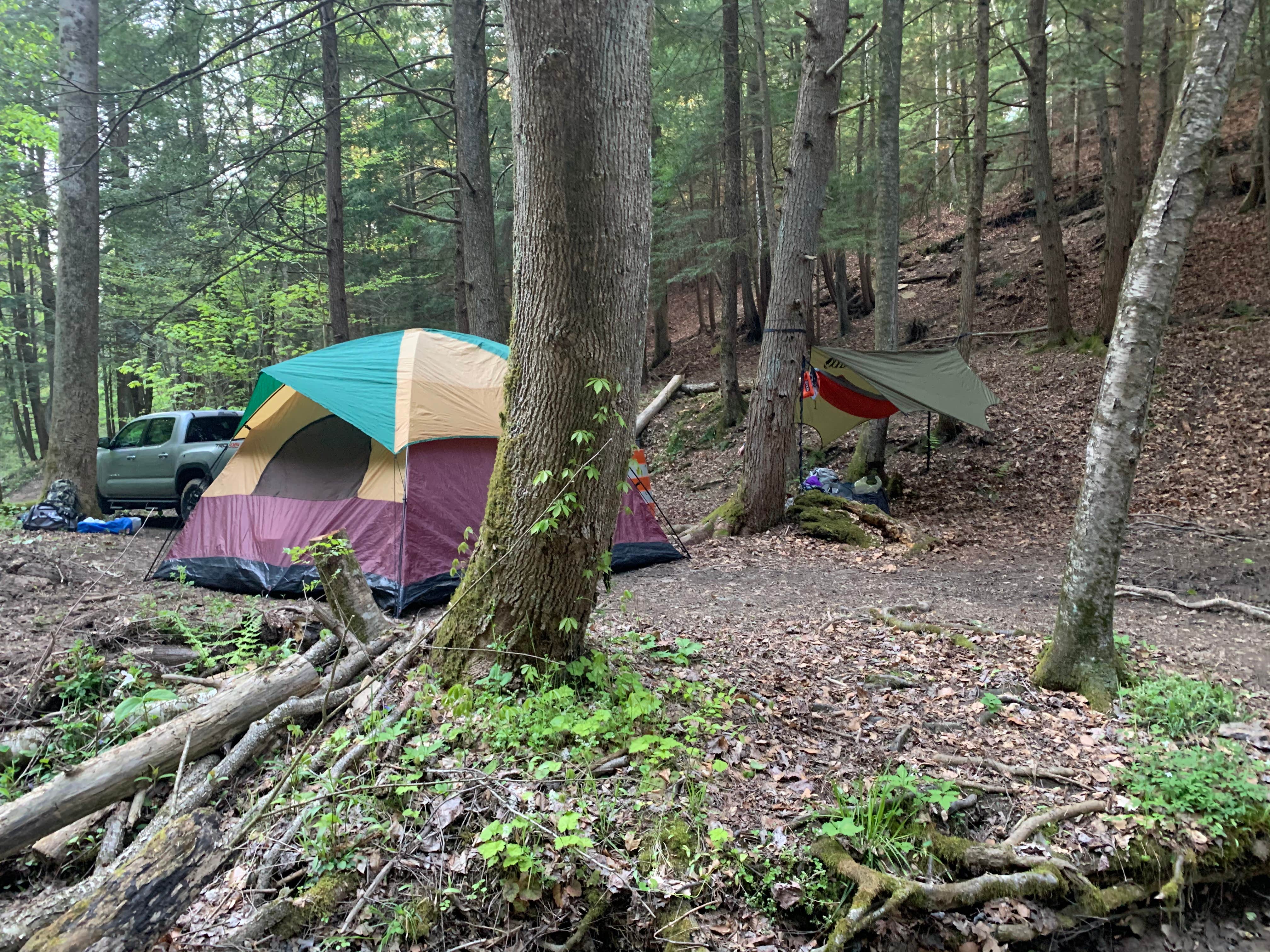 Cooper's Lake Campground | The Dyrt