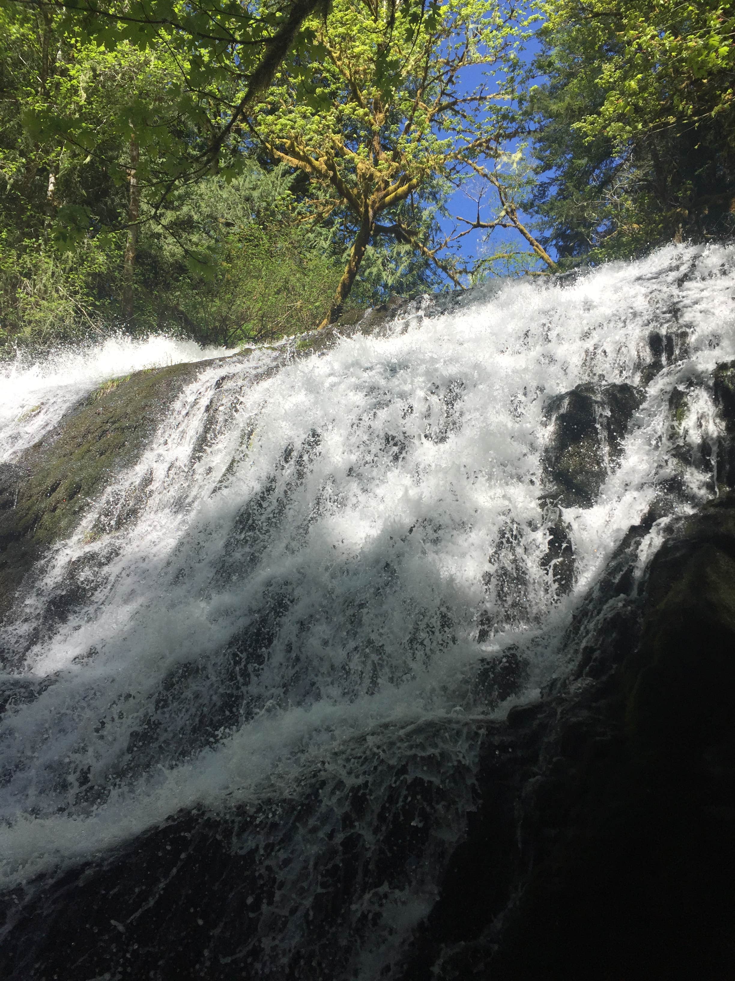 Alsea Falls Recreation Site | The Dyrt