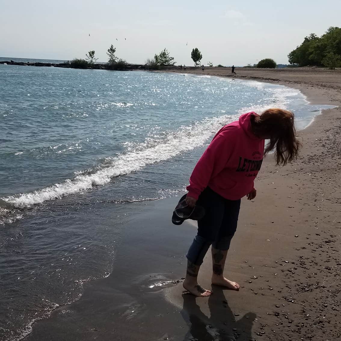 Hamlin Beach State Park Camping | The Dyrt