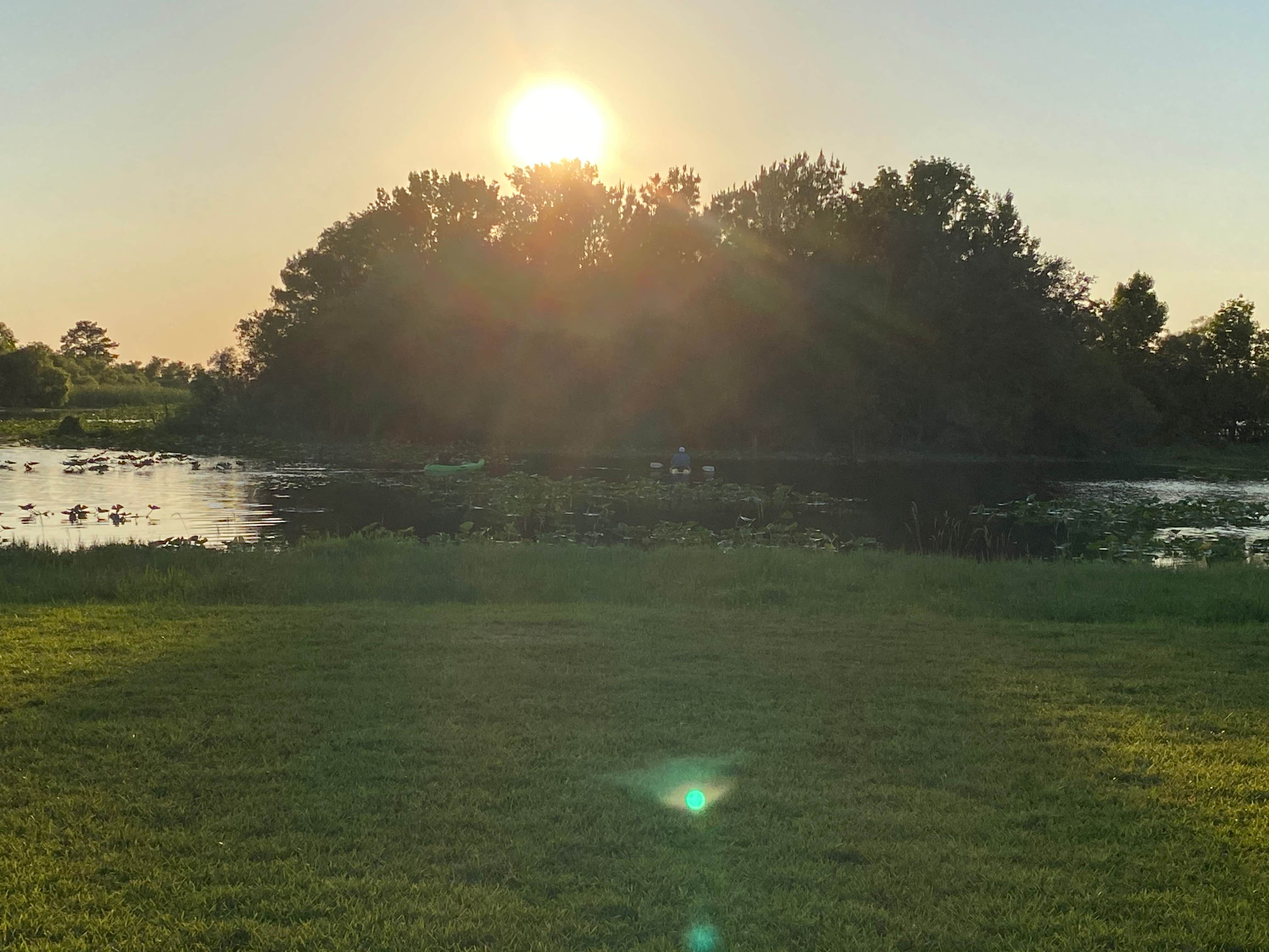 Rodman Campground | The Dyrt