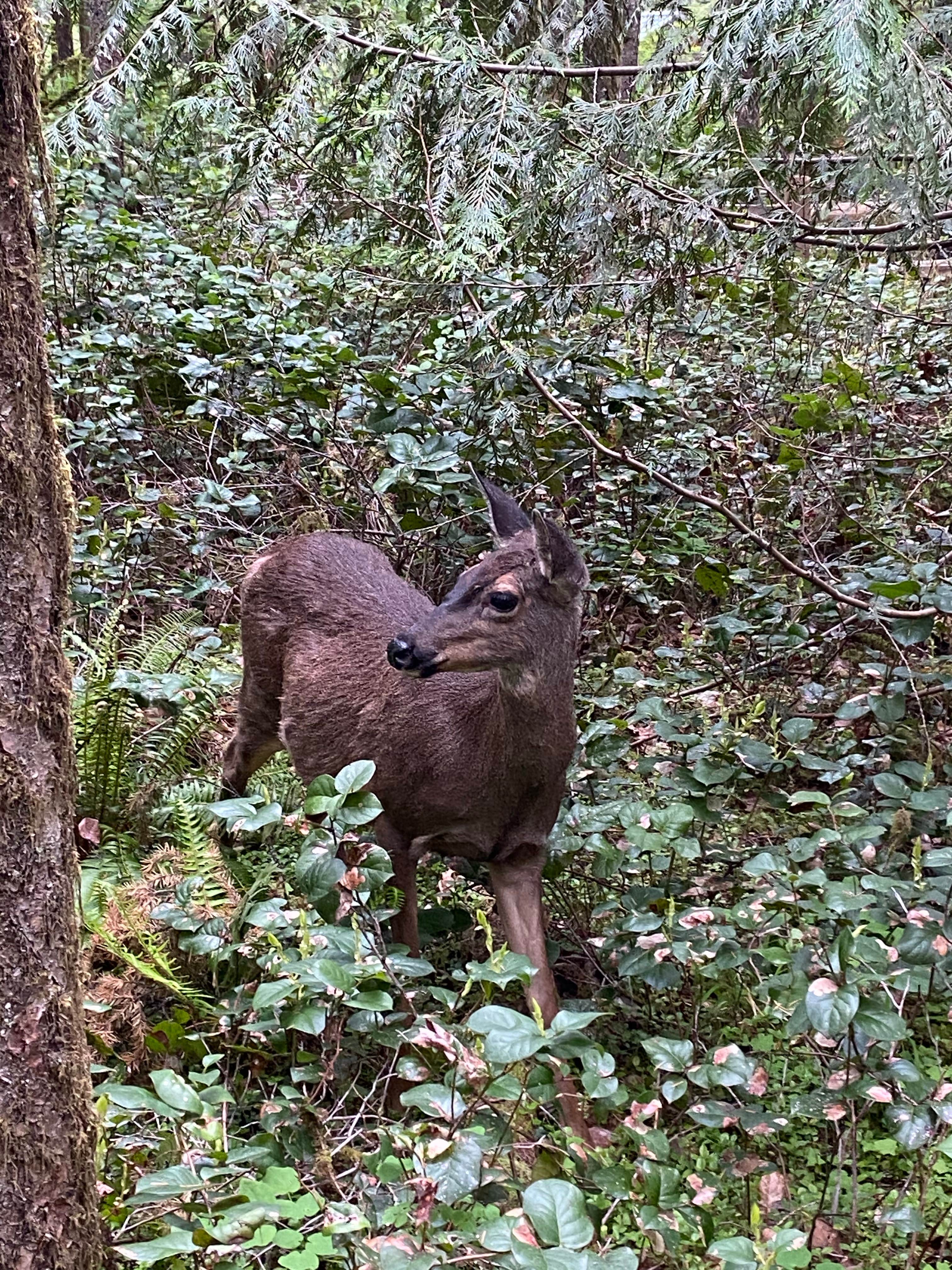 Oxbow Regional Park | The Dyrt
