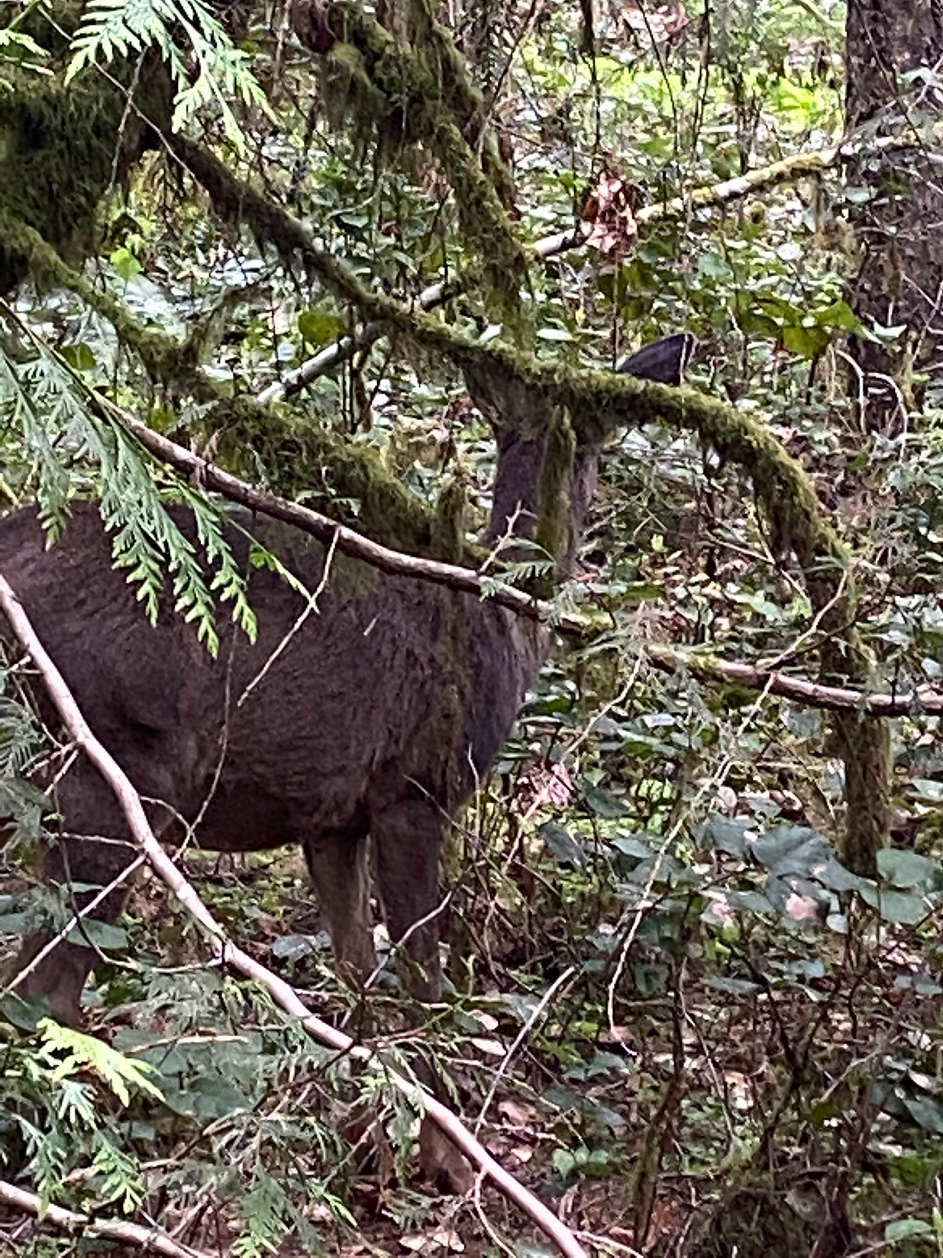 Oxbow Regional Park | The Dyrt