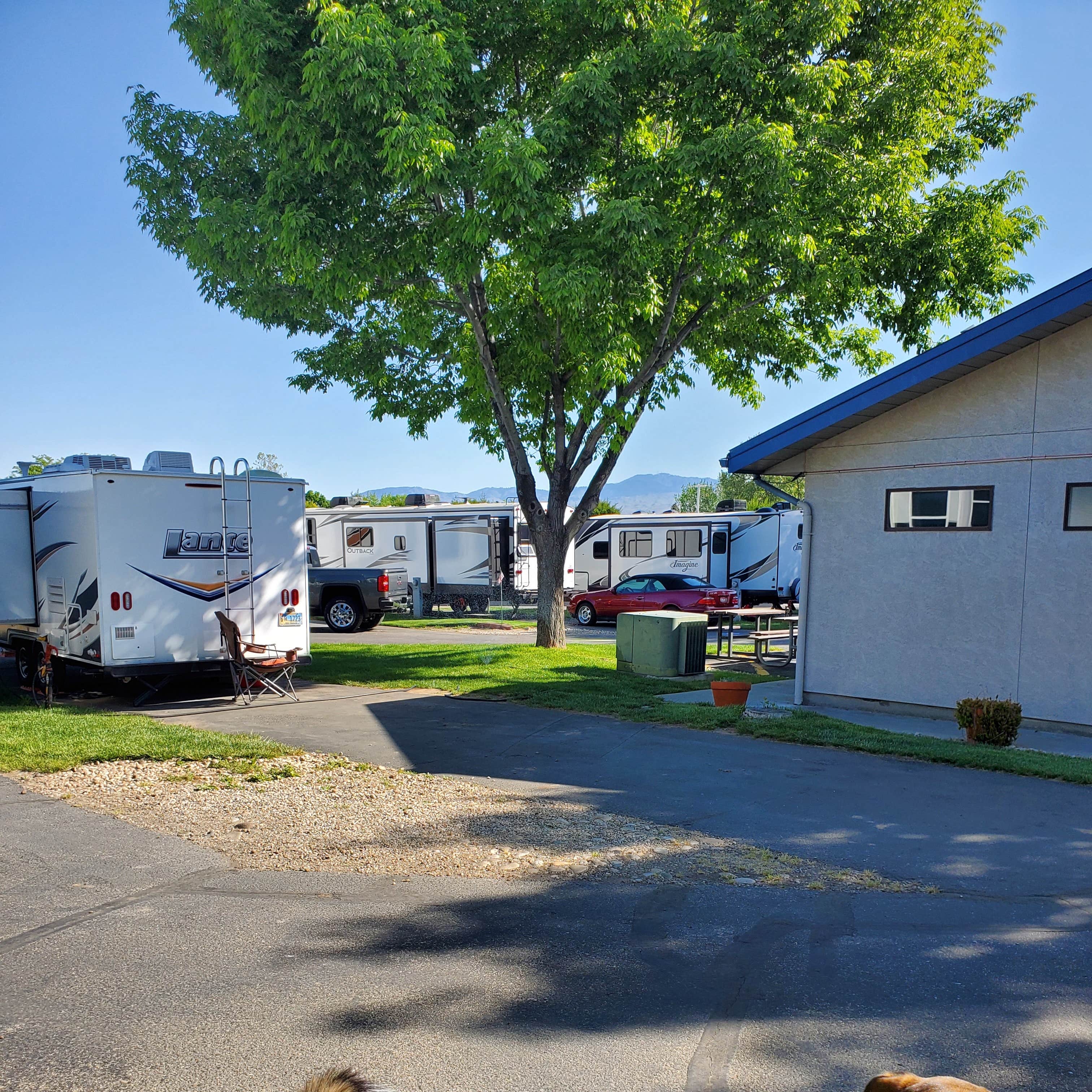 Mountain View RV Park Camping | The Dyrt