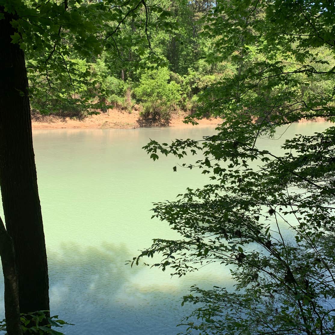 Long Pool Recreation Area Camping | Dover, AR