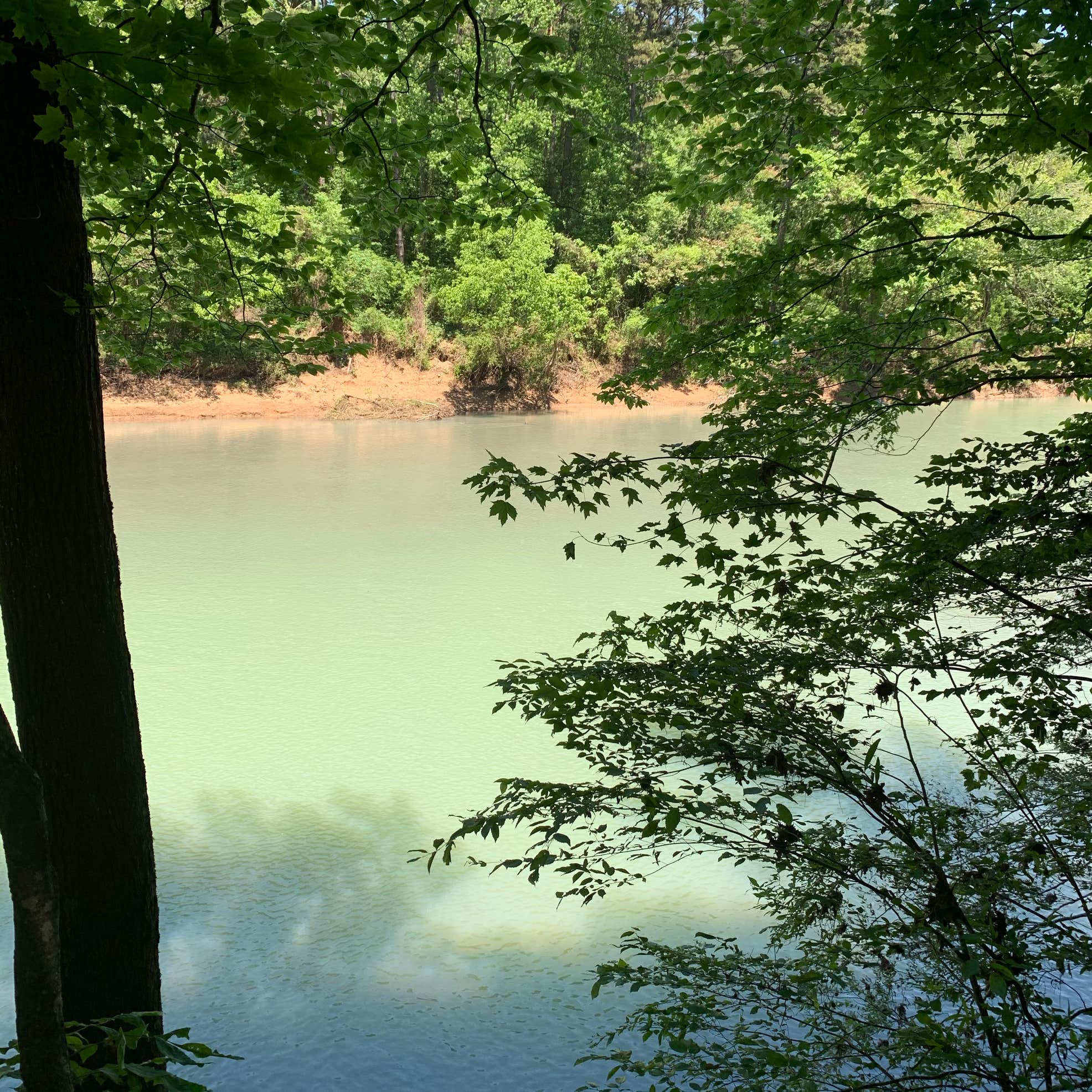 Long Pool Recreation Area Camping | Hagarville, Arkansas