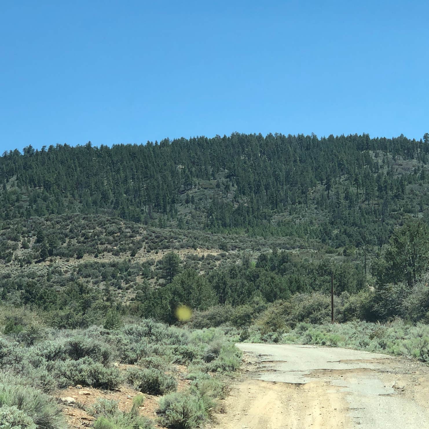 Chuchupate Campground | Frazier Park, California