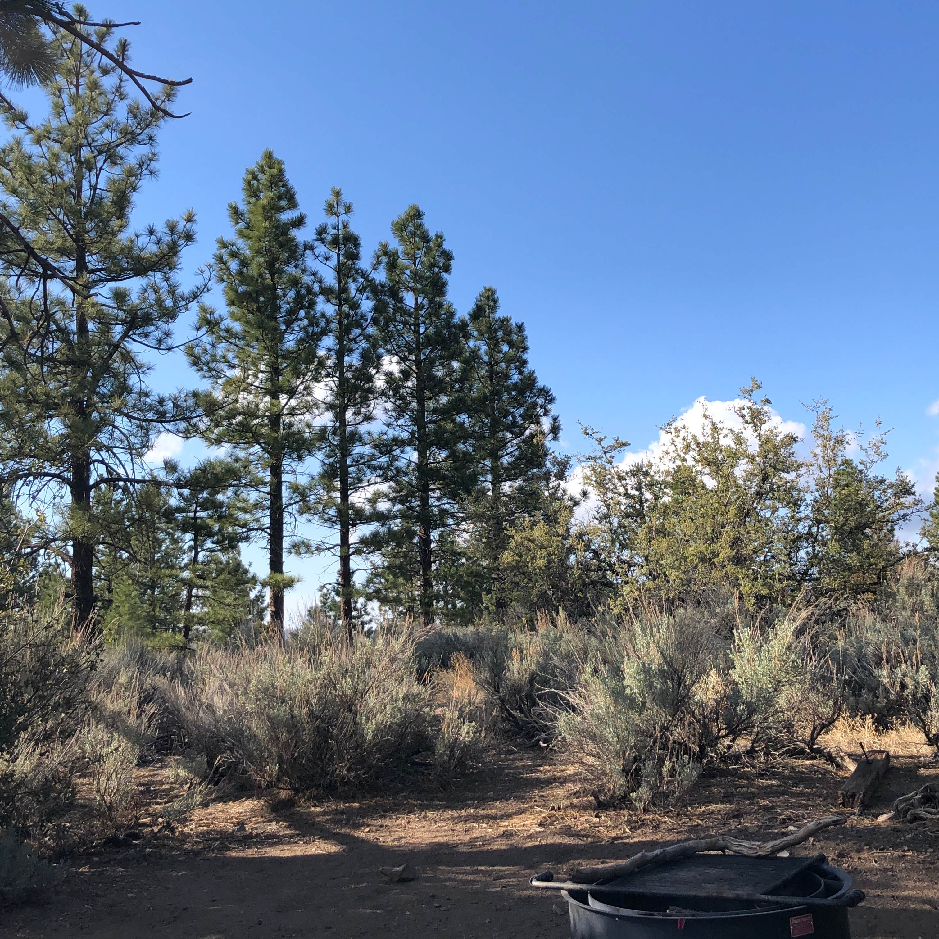 Chuchupate Campground | Frazier Park, California