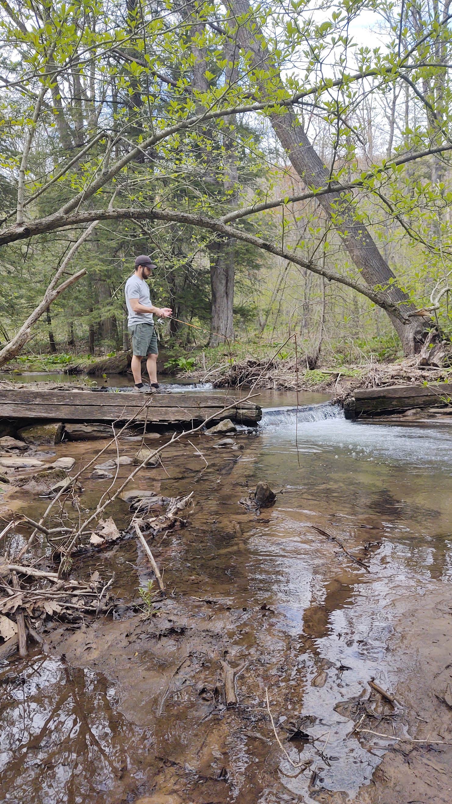 Kooser State Park Campground | The Dyrt
