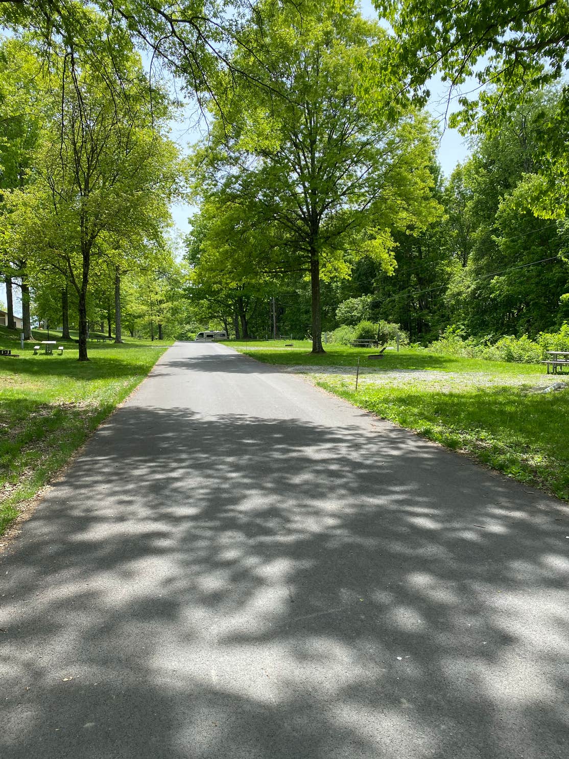 Ryerson Station State Park Camping | The Dyrt