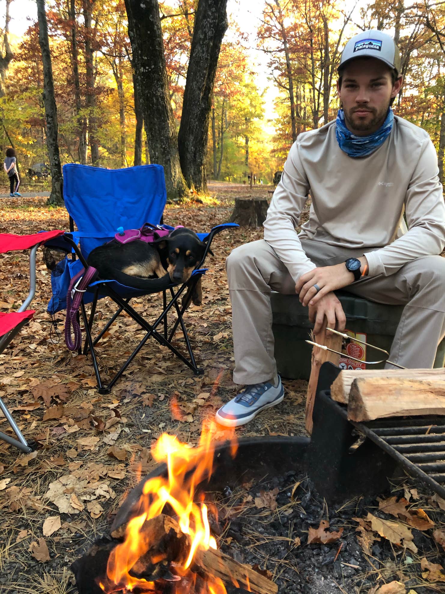Mathews Arm Campground | The Dyrt