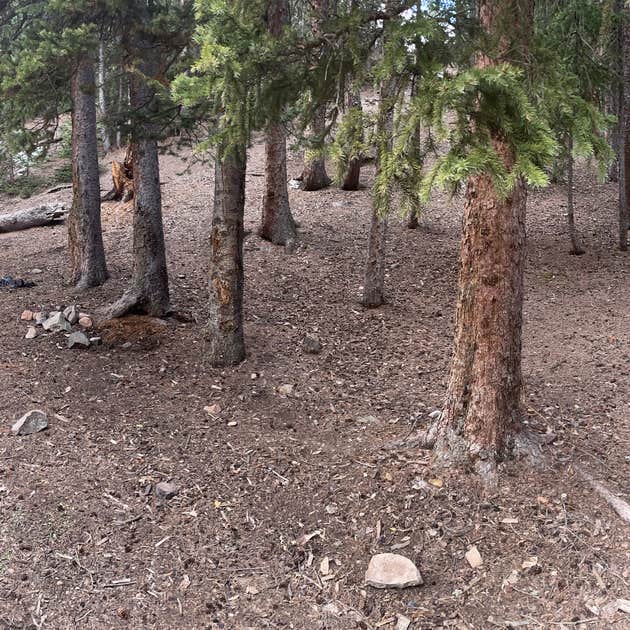 Handcart Campground | Jefferson, Colorado