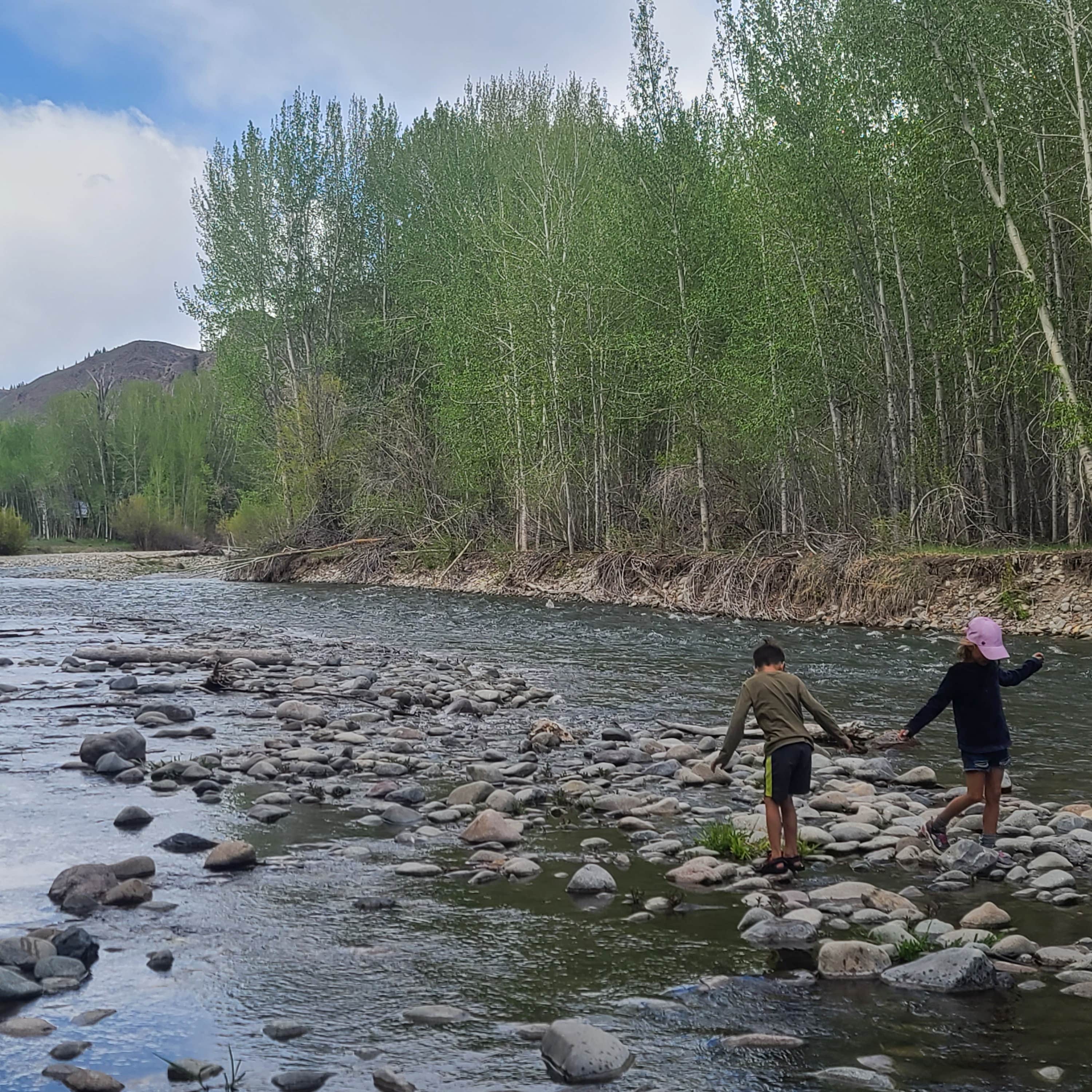 Meadows RV Park Camping | The Dyrt