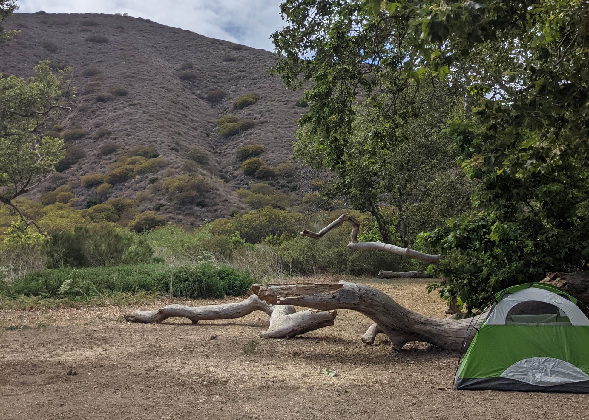 Sycamore Campground Camping | The Dyrt
