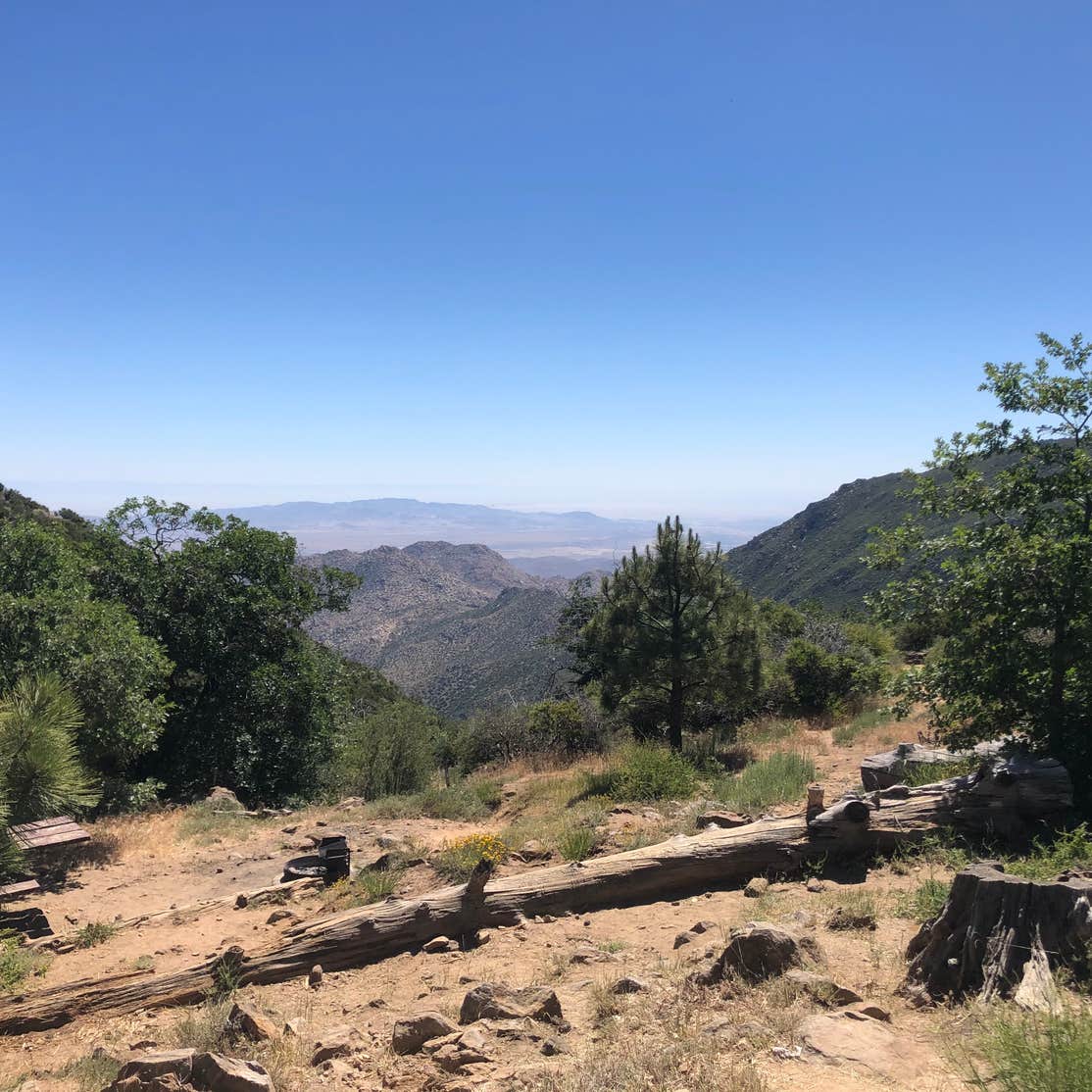 Burnt Ranch Campground Camping | The Dyrt