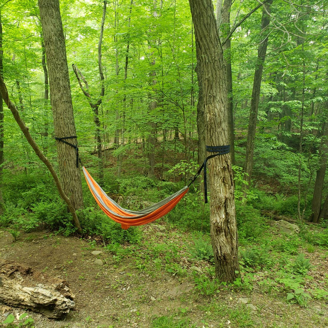 Cranberry Run Campground | Stroudsburg, Pennsylvania