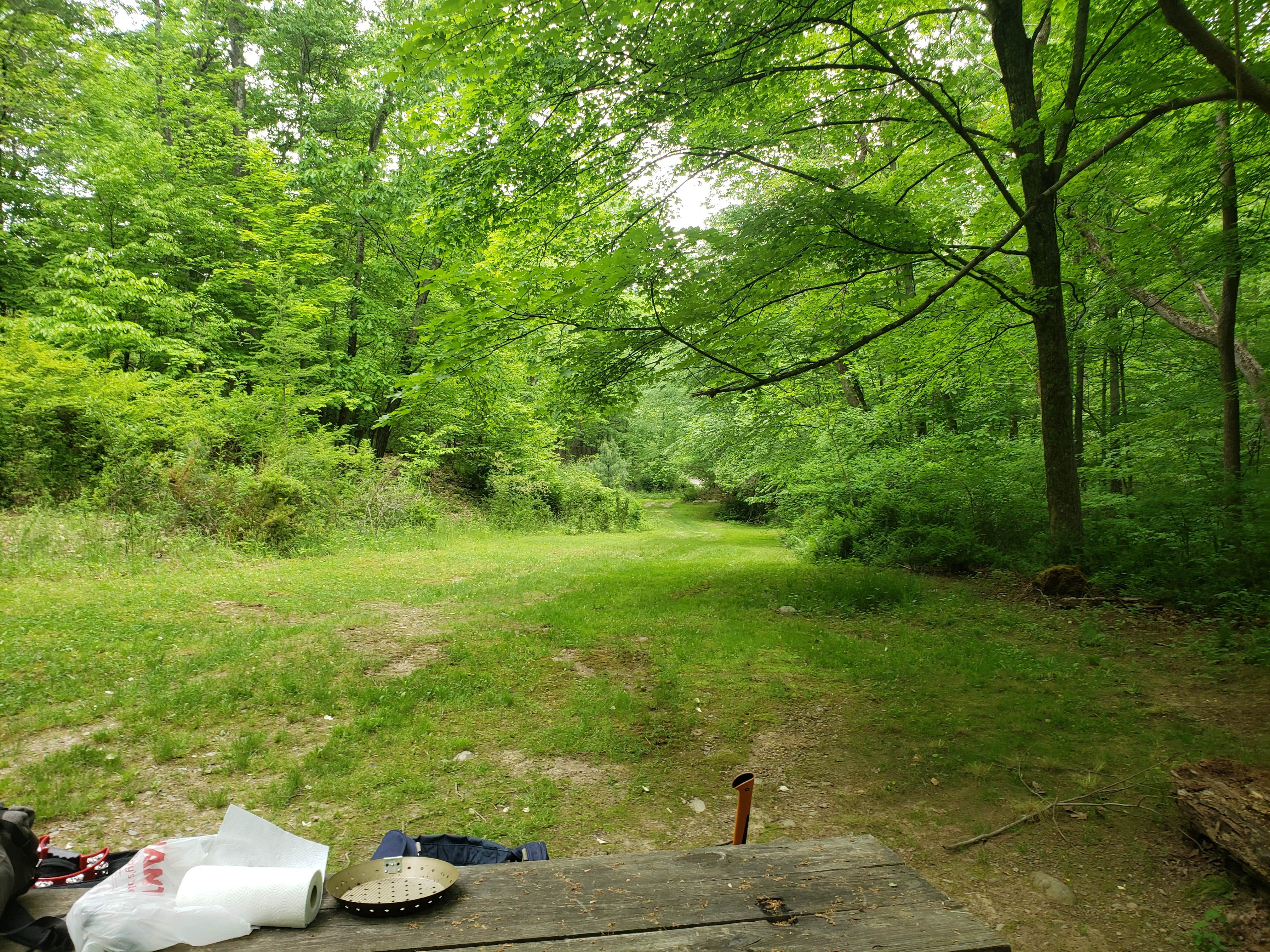 Cranberry Run Campground | Analomink, PA