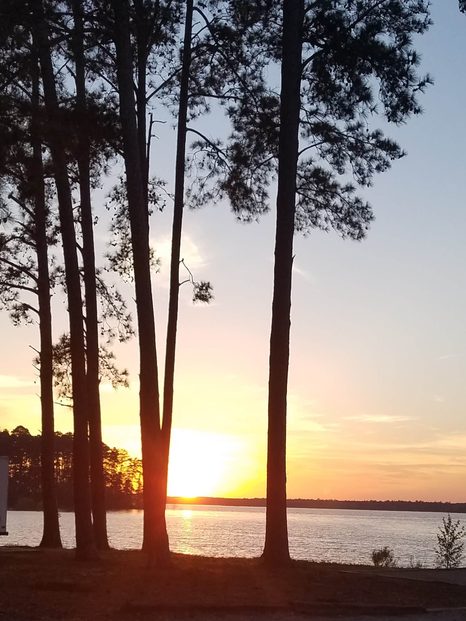 Mistletoe State Park | The Dyrt