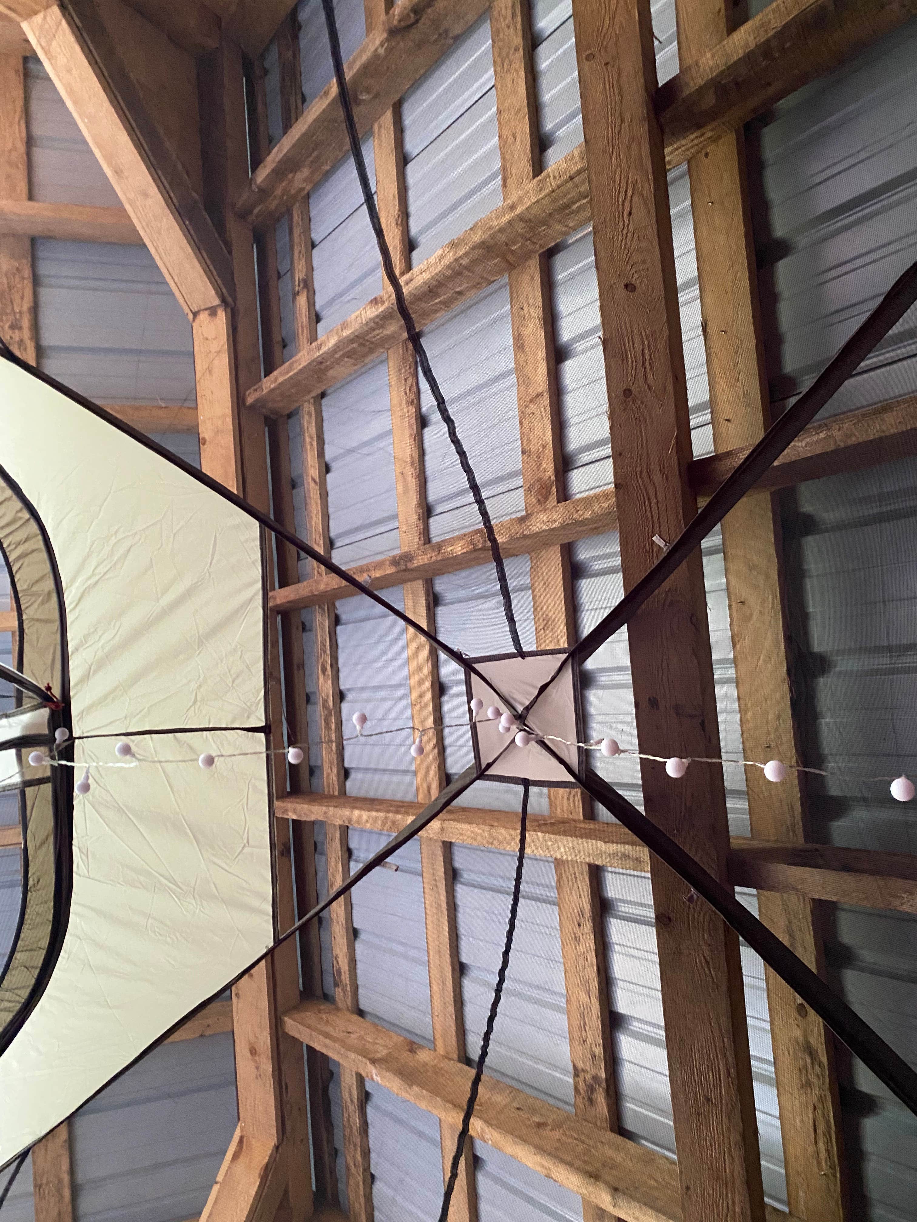 Grout Pond Campground — Green Mountain & Finger Lakes National Forests ...