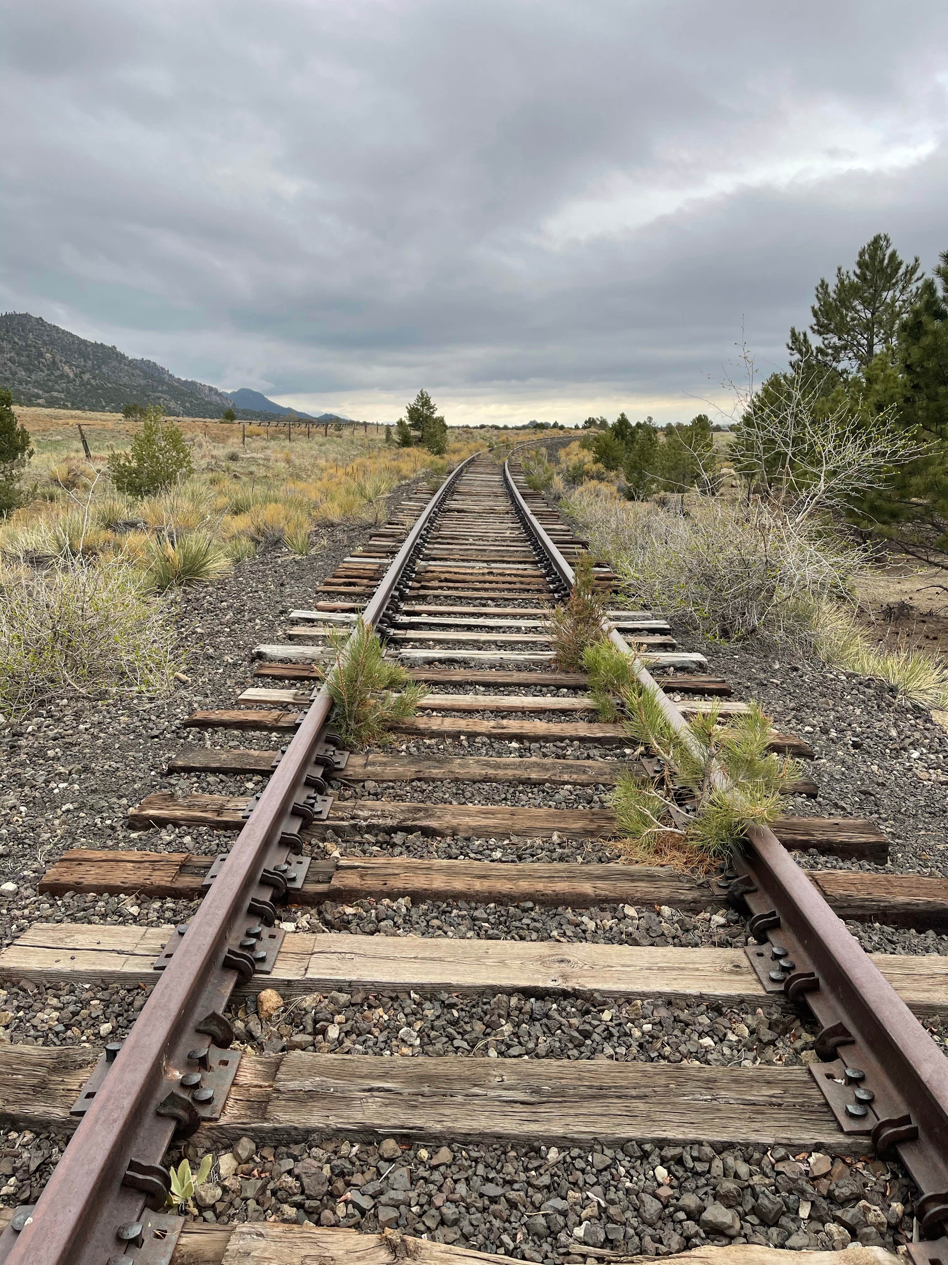 Railroad Bridge - Arkansas Headwaters Recreation Area | The Dyrt