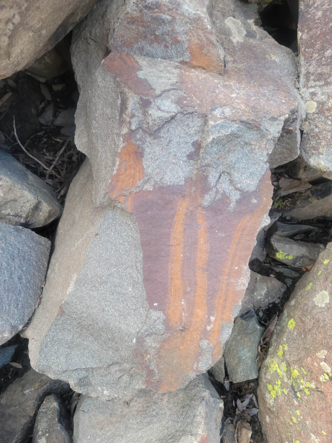 Angel Creek Campground | The Dyrt