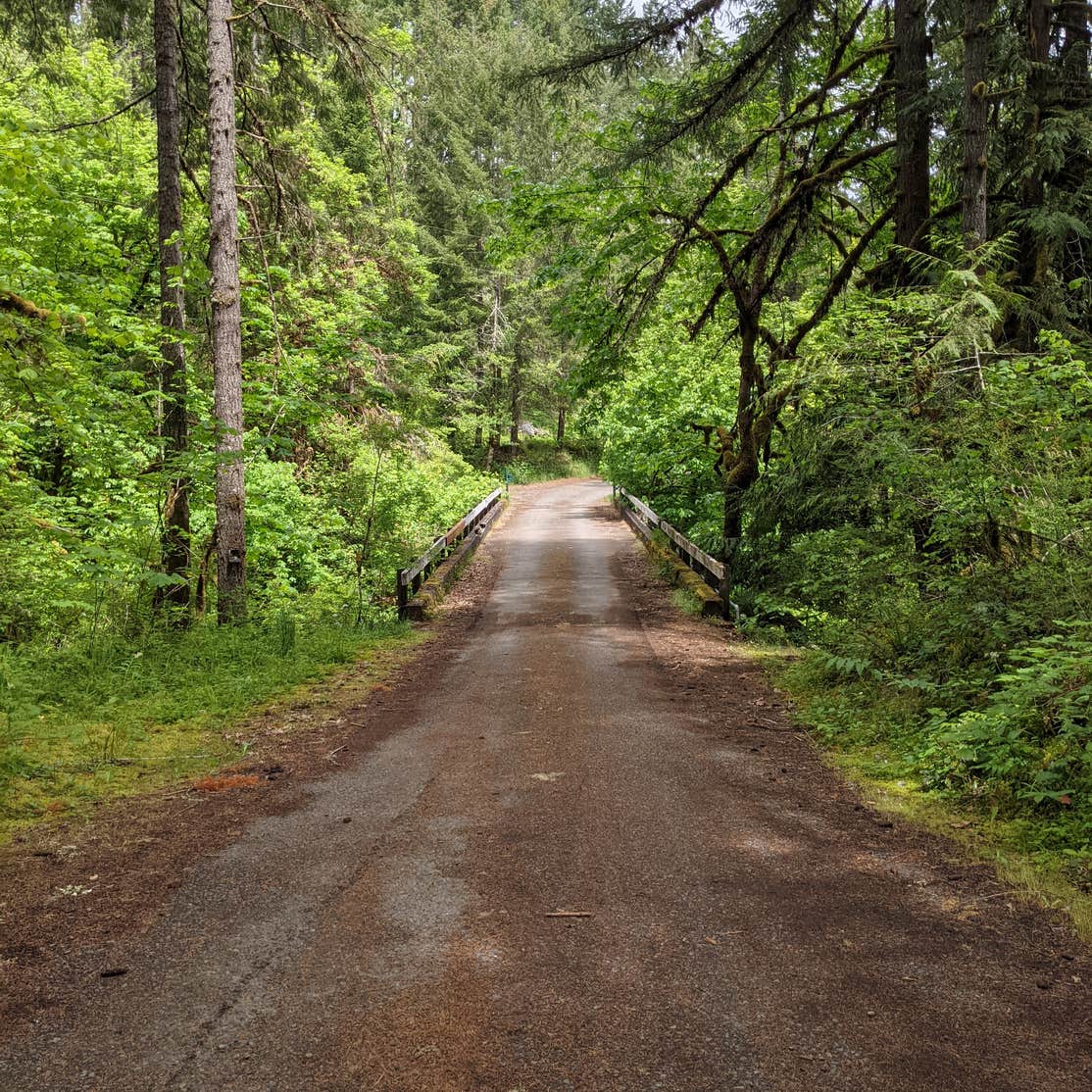 Rujada Campground | Dorena, Oregon