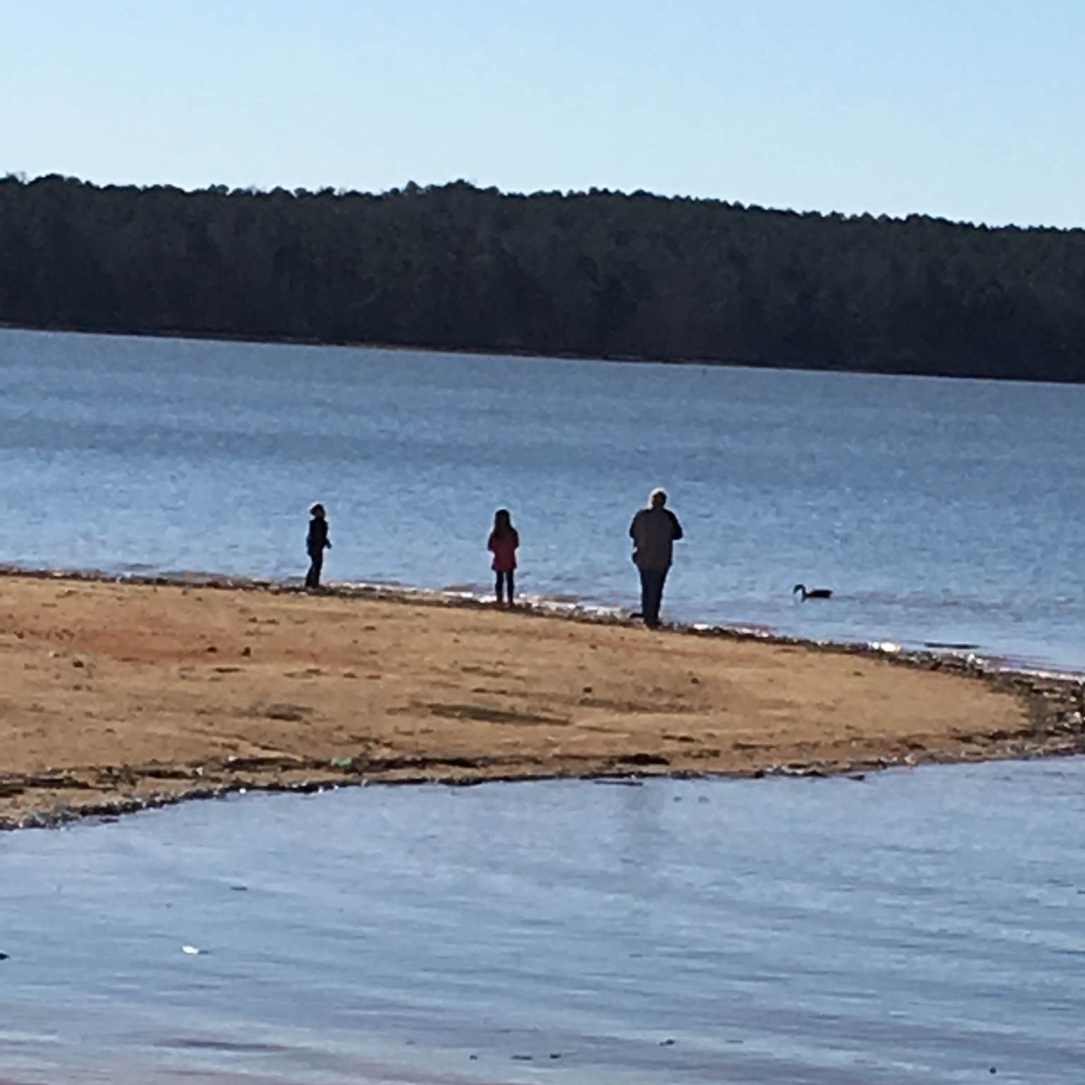 Wind Creek State Park Camping | The Dyrt