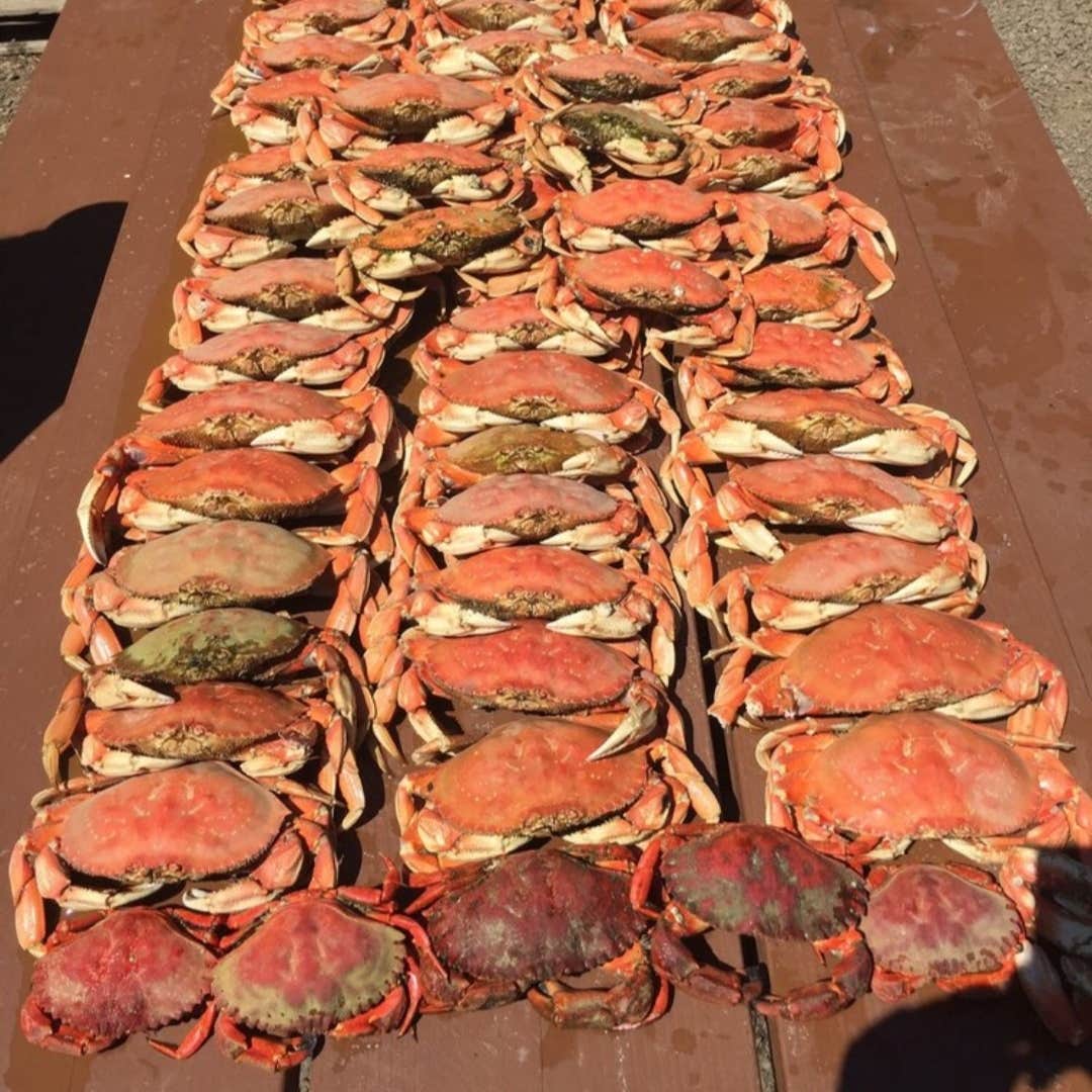 Big Spruce RV Park | Oceanside, Oregon