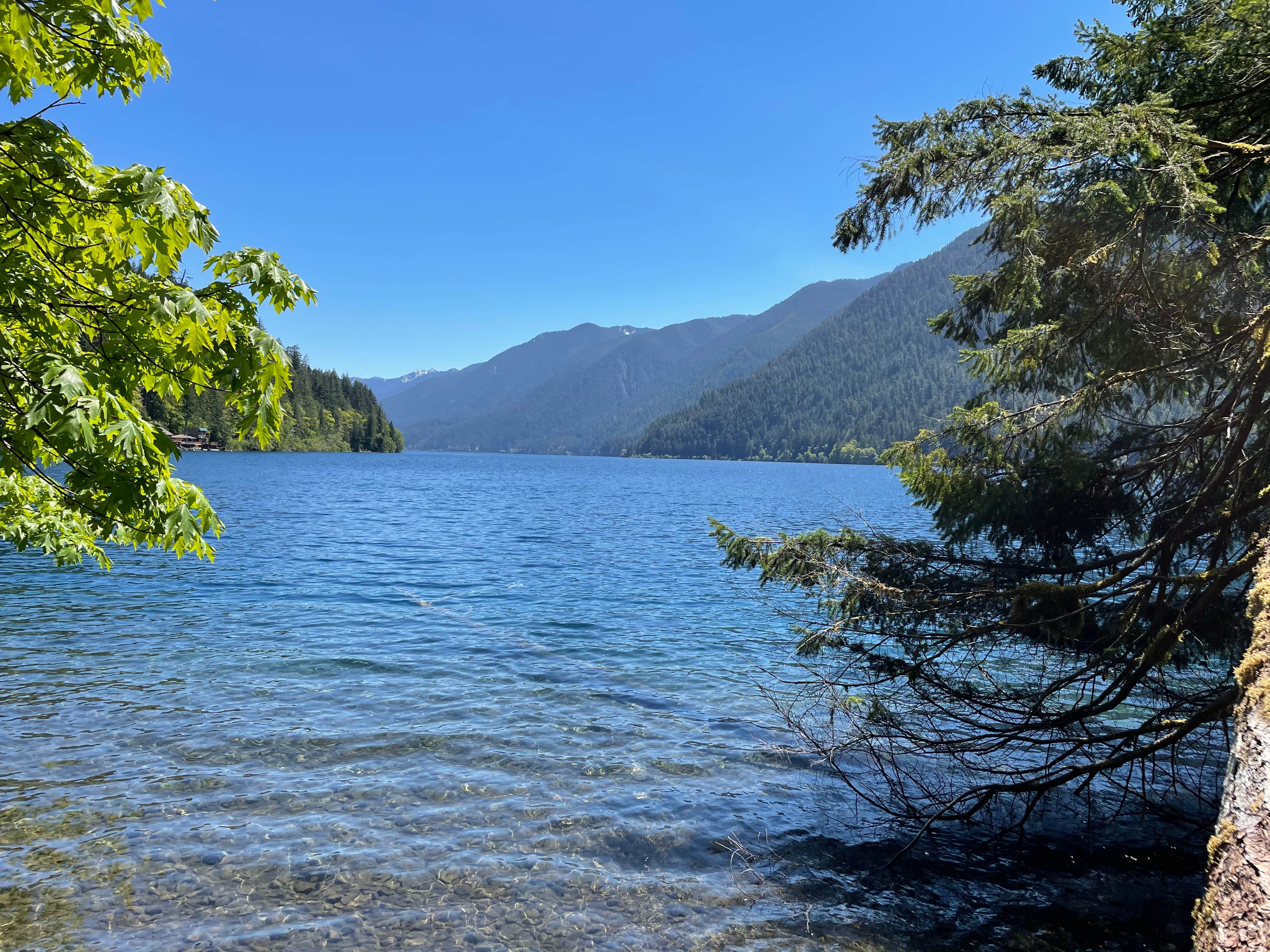 Fairholme Campground - Olympic National Park | The Dyrt
