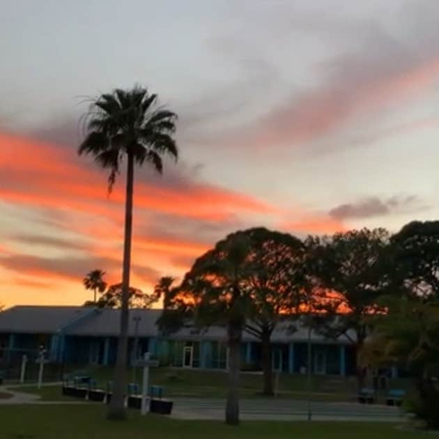 Dunedin RV Resort Camping | The Dyrt