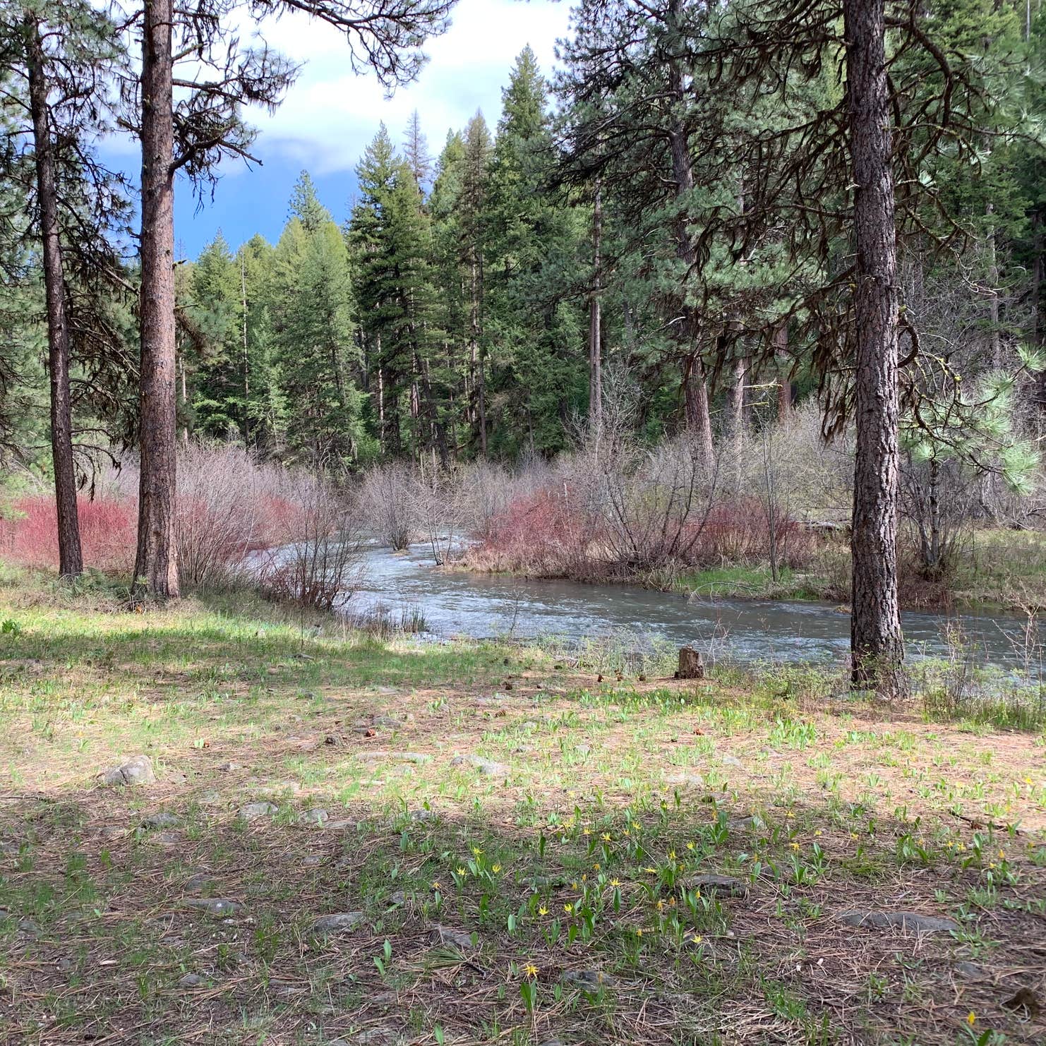 Middle Fork Camping | Prairie City, Oregon