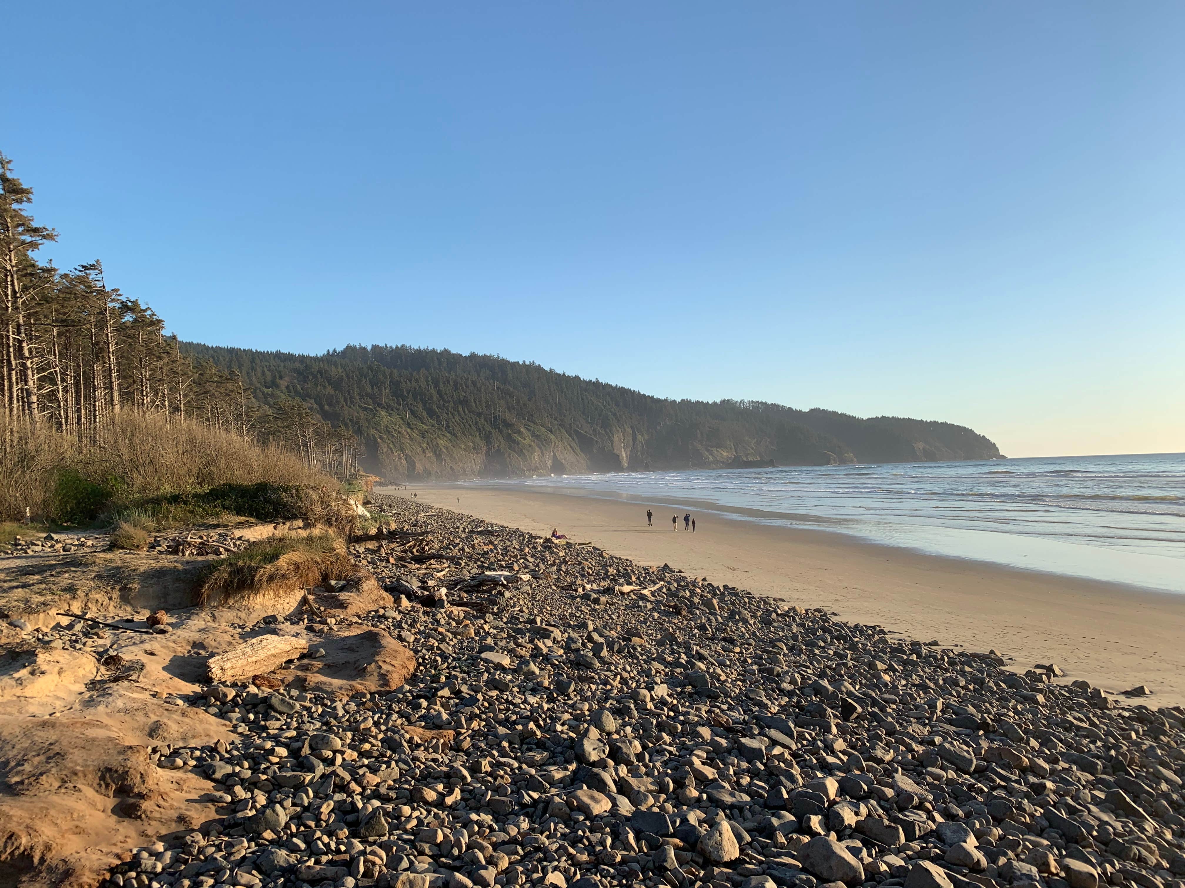 Cape Lookout Campground | The Dyrt