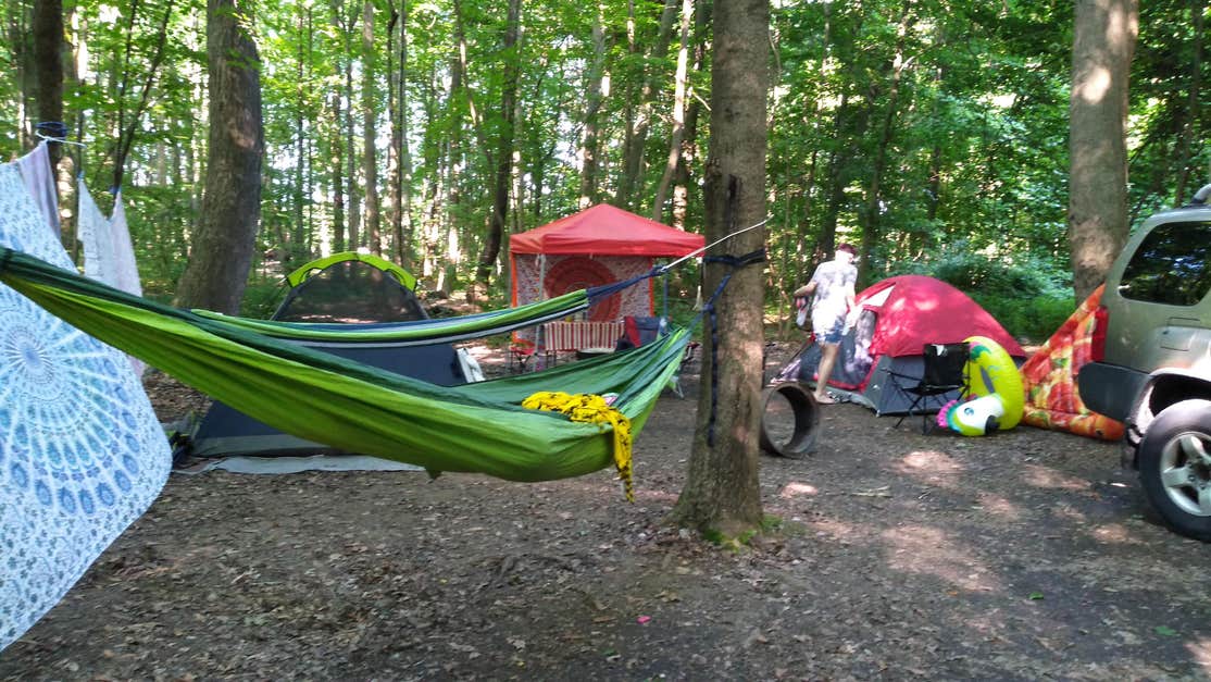 Nelson-Kennedy Ledges State Park | The Dyrt